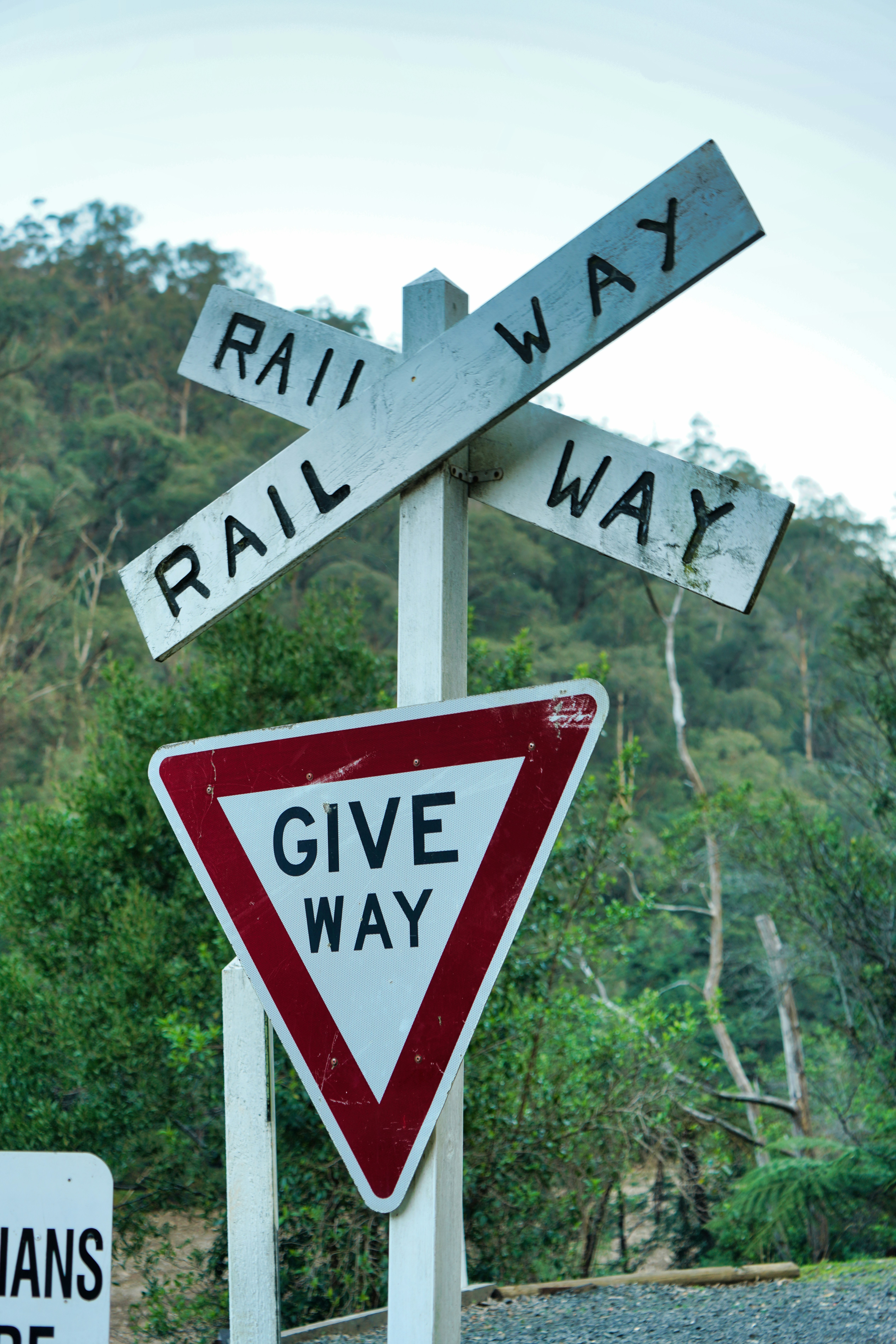Weathered Signals at a Forest Rail Crossing: The Give Way Triangle Stands Guard