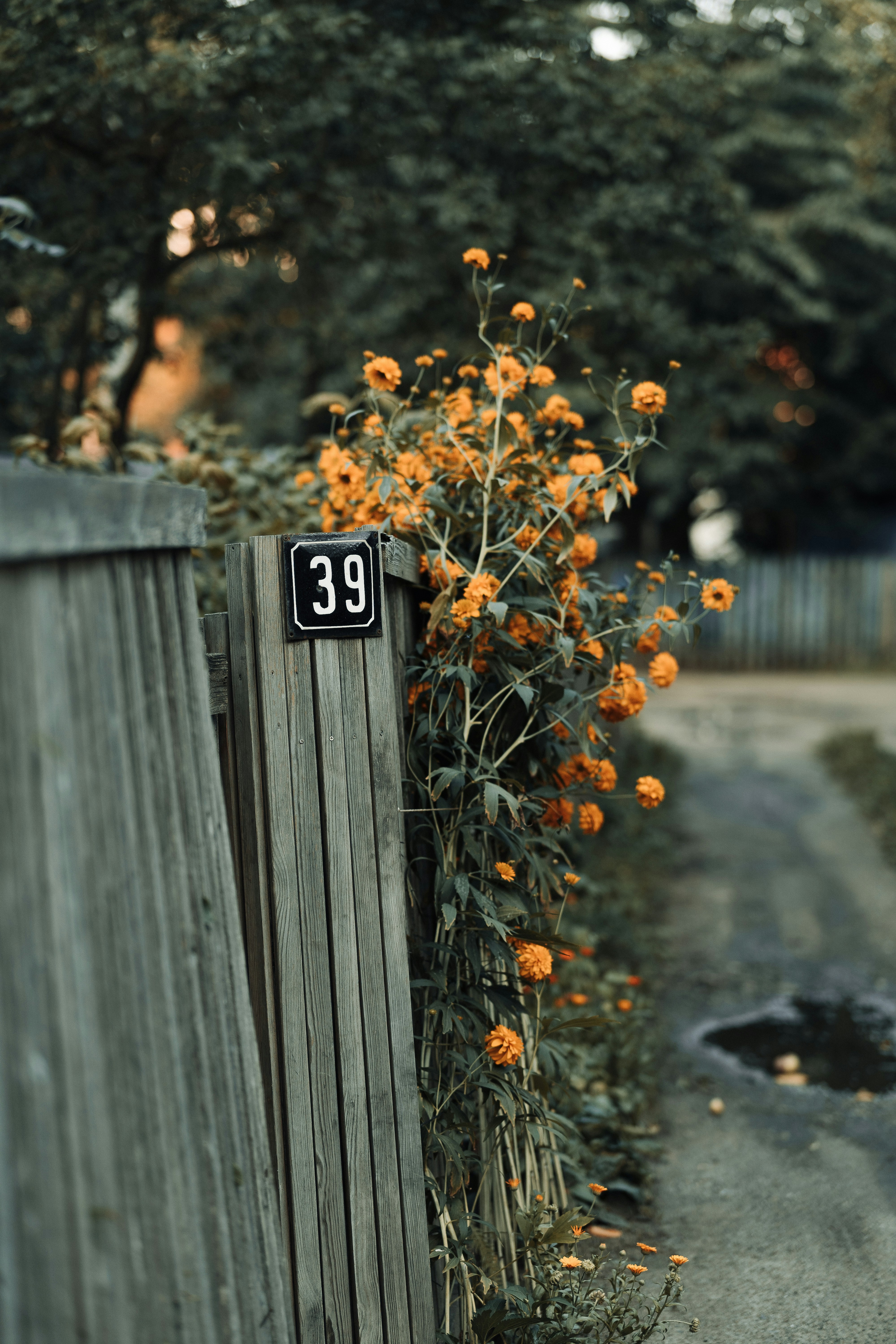 Photo by Leanid Hubarenka with Sony Alpha 7 III