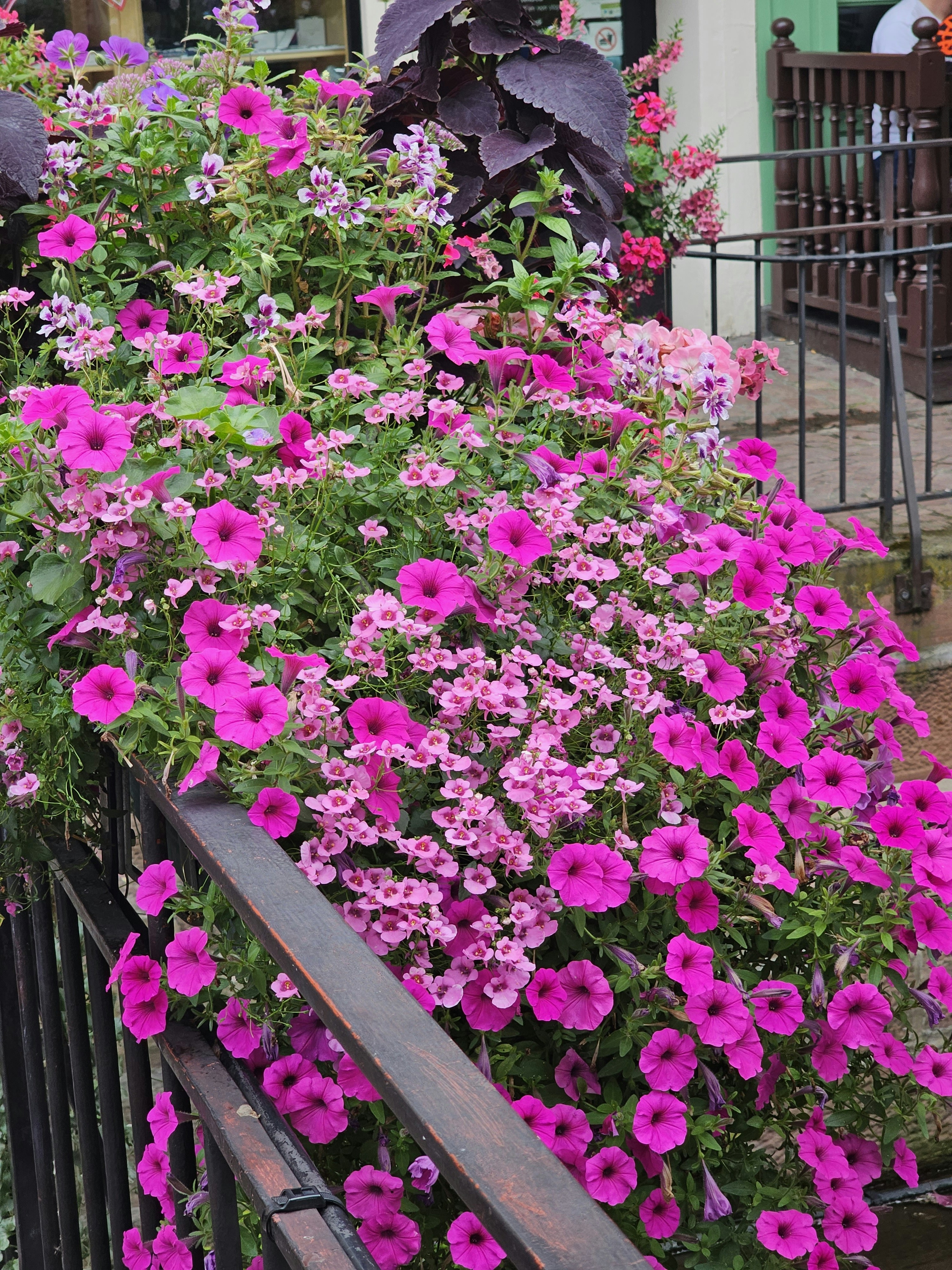 Vivid Floral Cascade Along a Rustic Balcony Railing