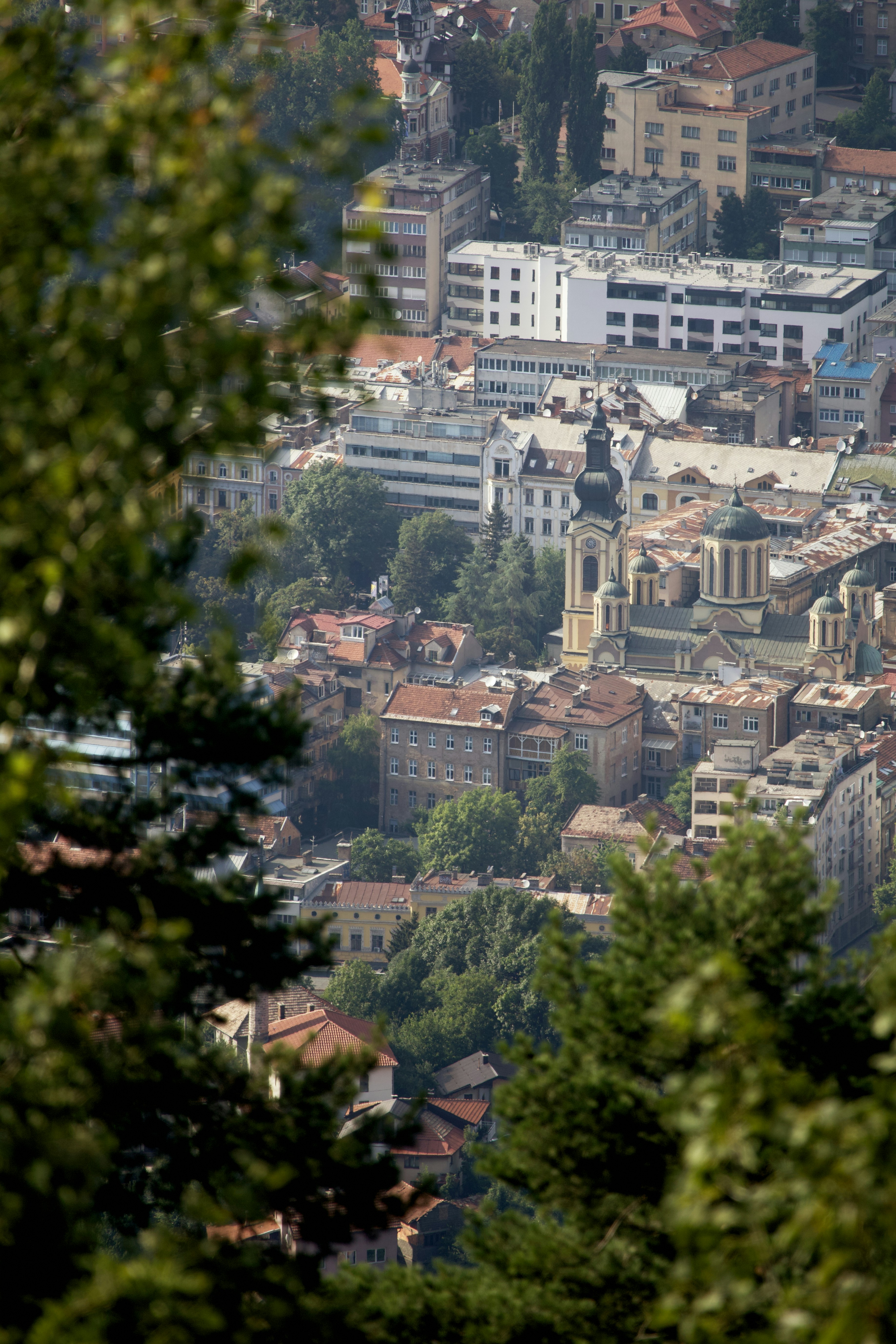 Domed towers among rooftops: hillside cityscape framed by pines