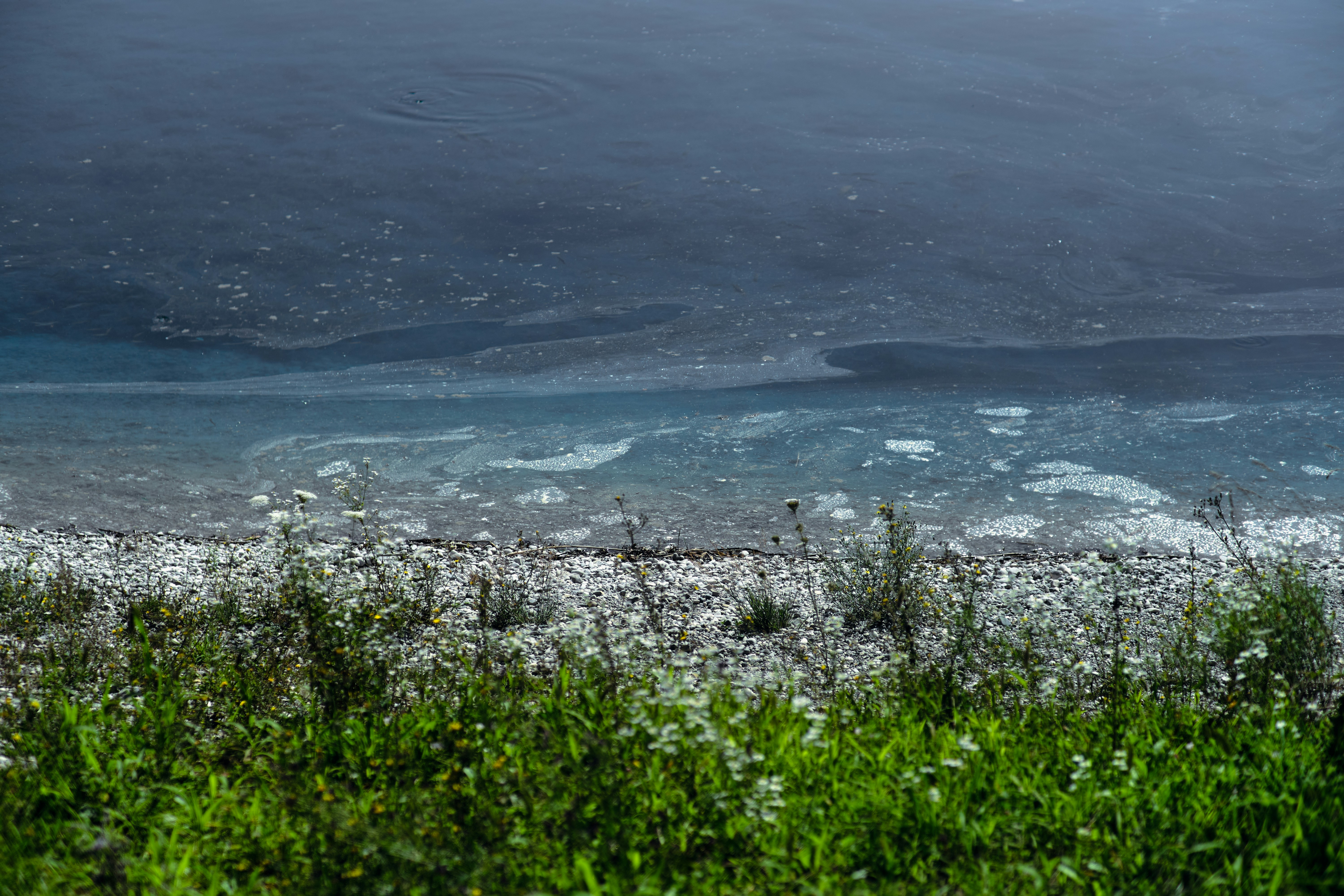 Shoreline in Focus: Pebbles, Grass, and a Distant Blue Expanse