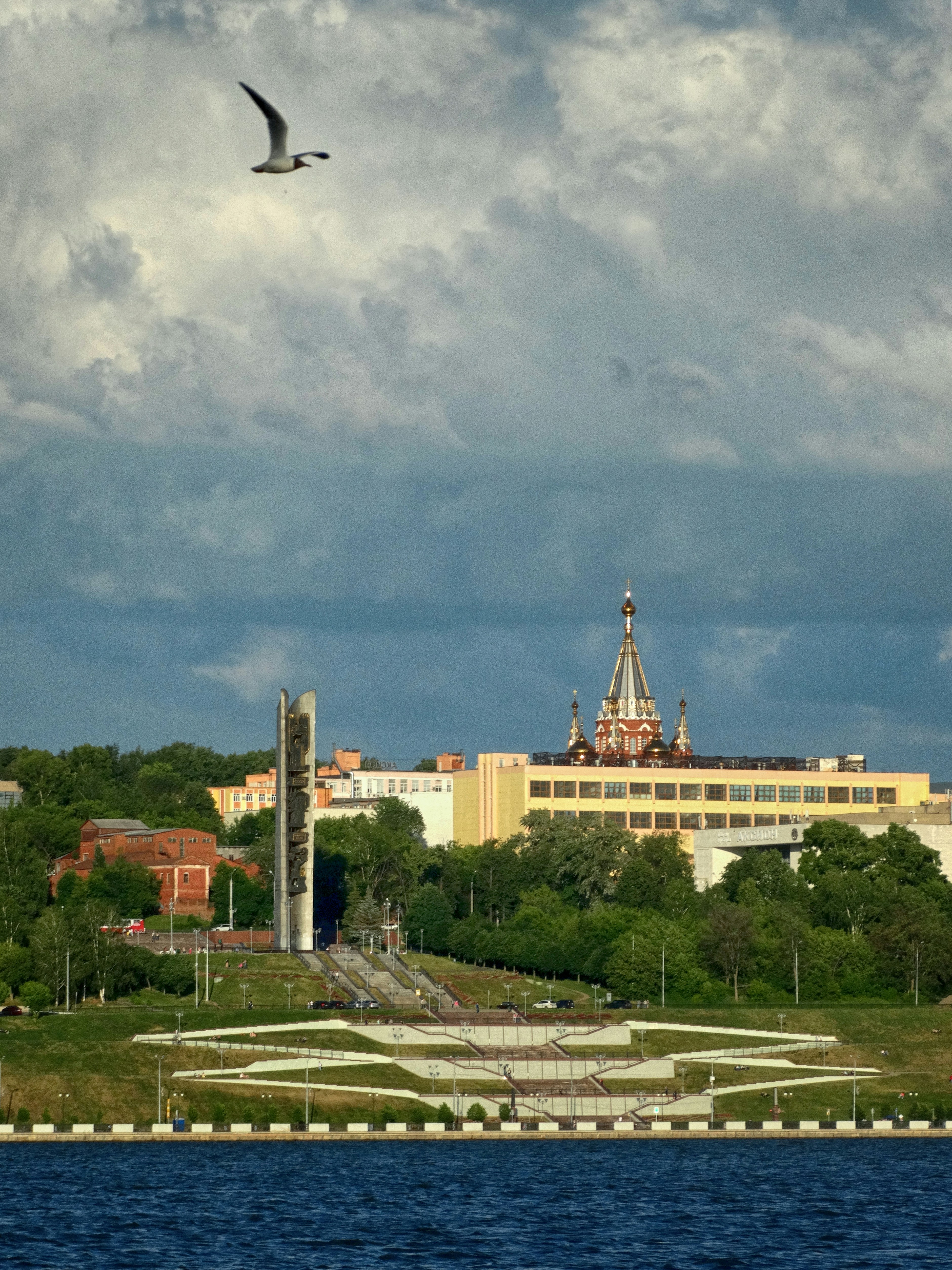 Winged Glimpse Over a Lakeside Cityscape