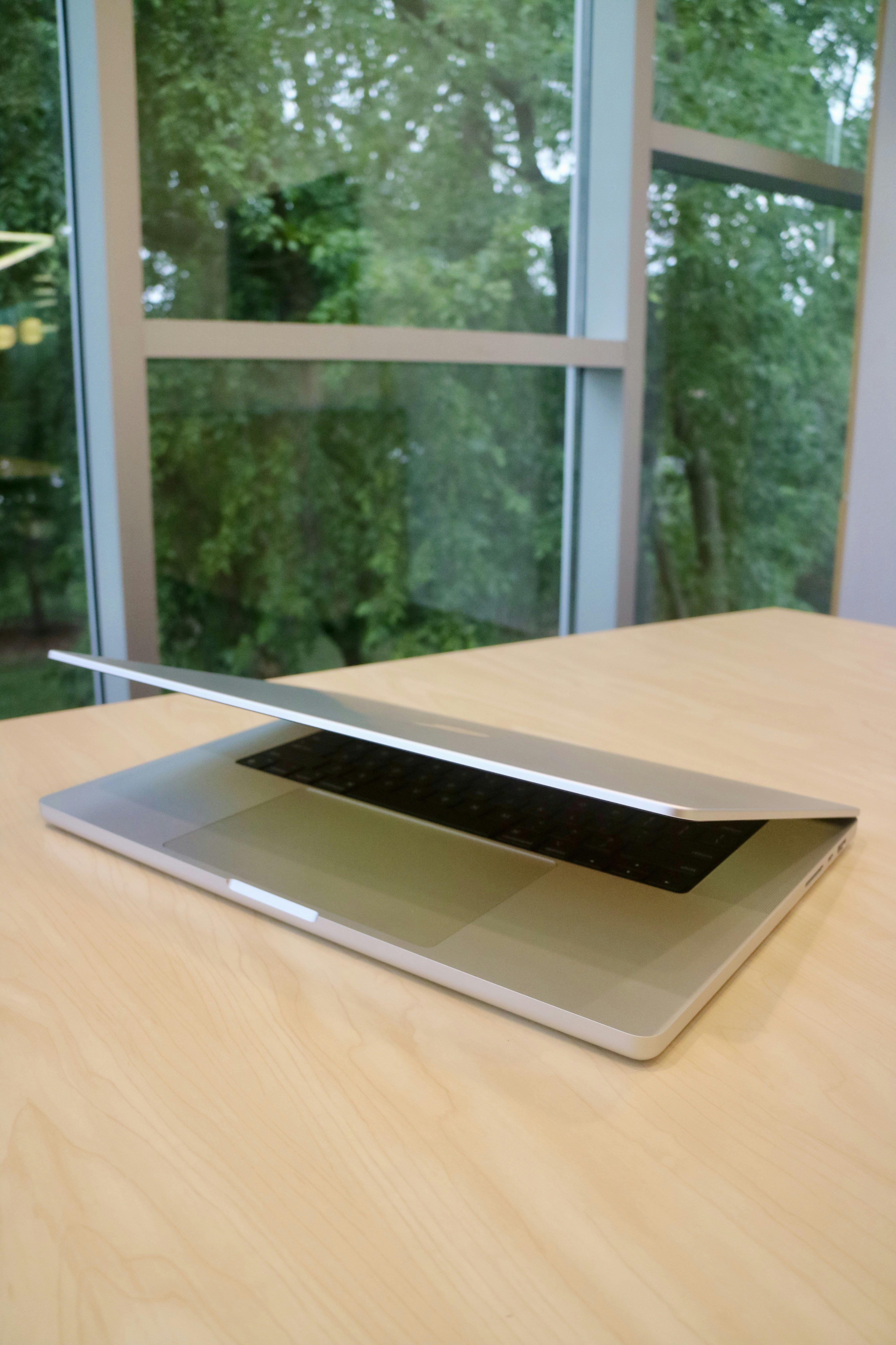 Open Silver Laptop Framed by Verdant Window View