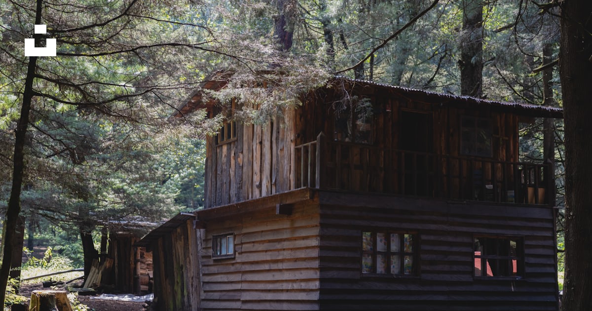 森の中の木造の小屋で、周りに木々がありますの写真 Unsplashの森の無料画像