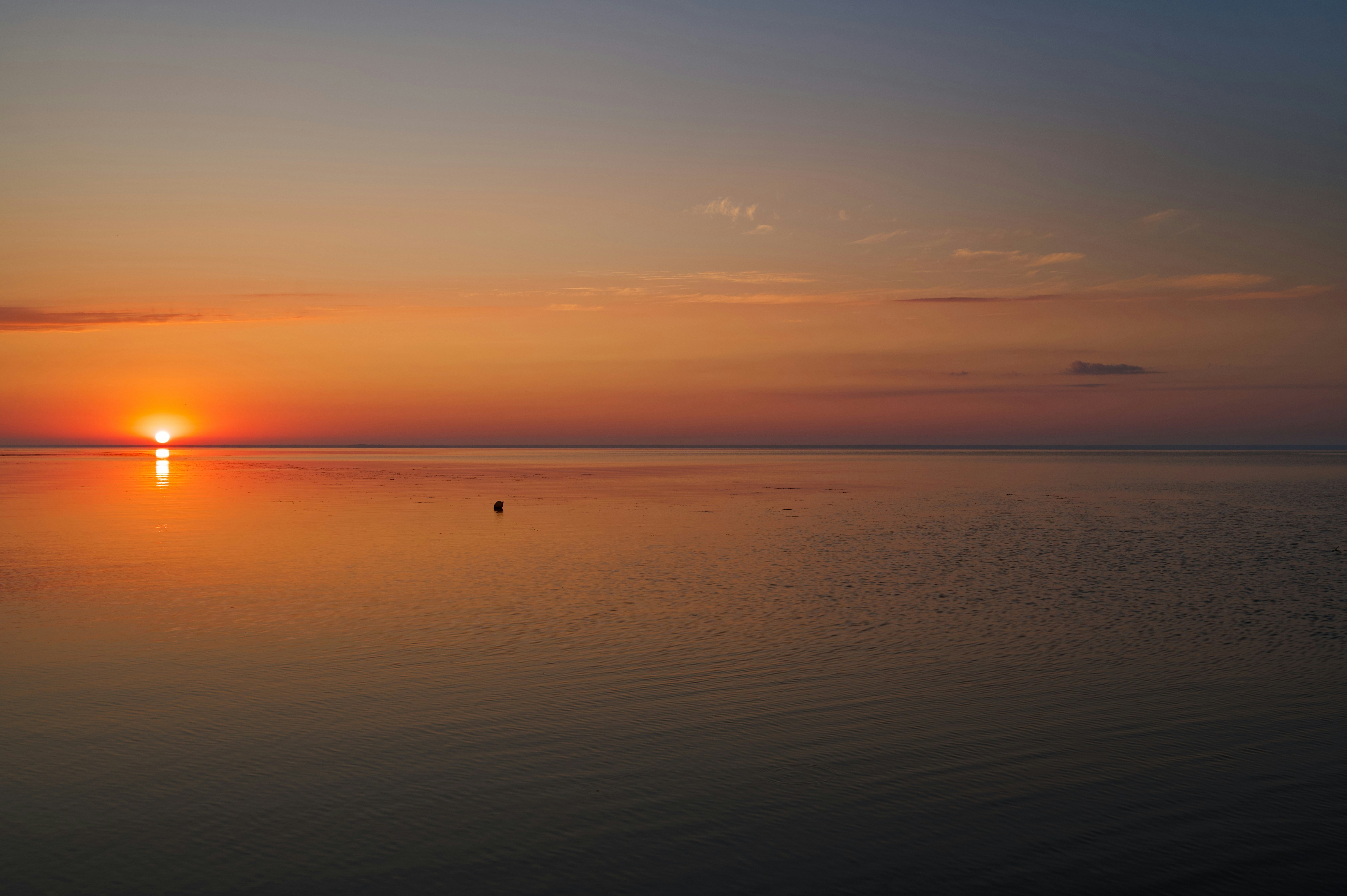 A large body of water with a sunset in the background photo – Free ...