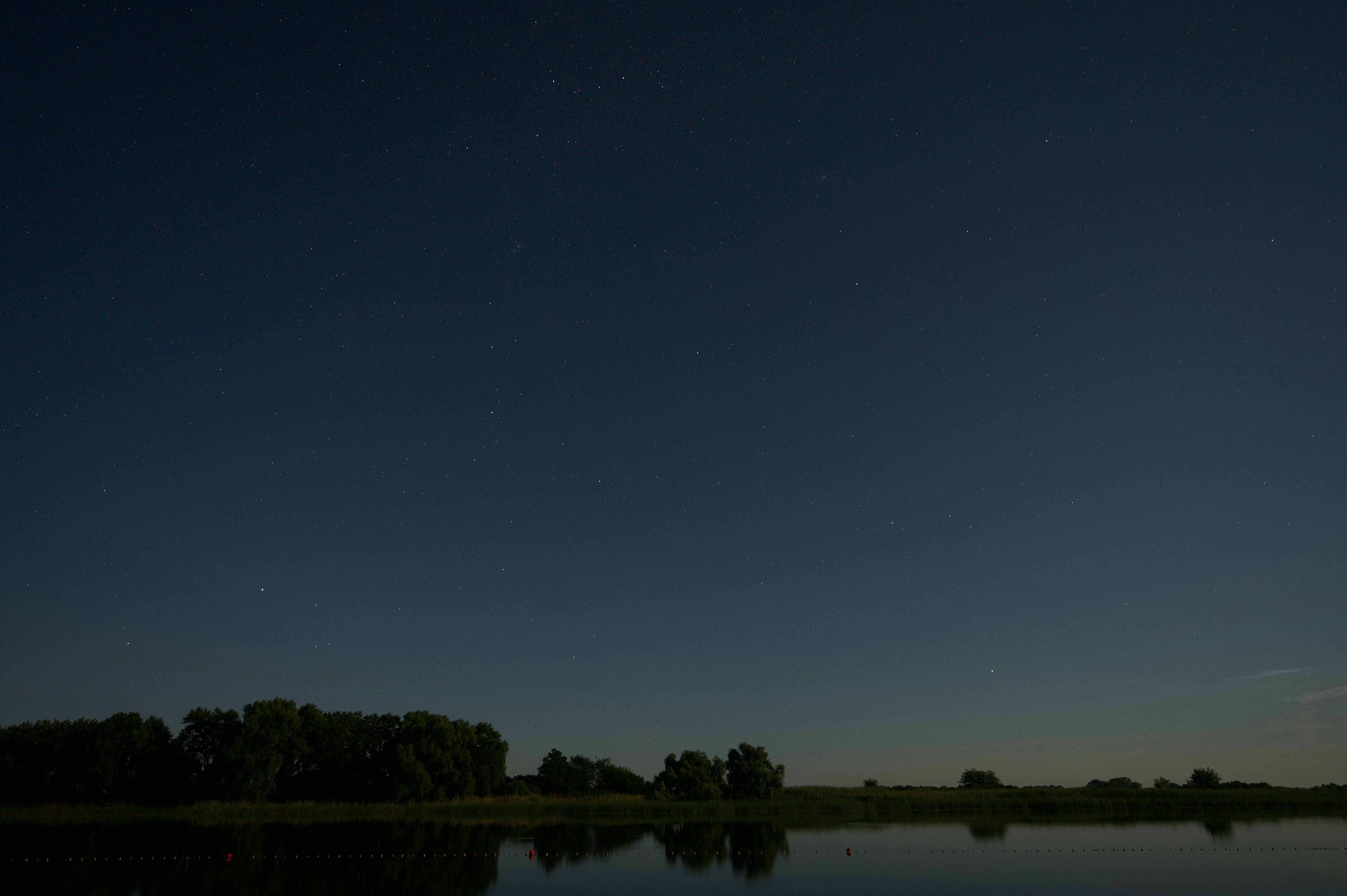 A body of water with trees in the background photo – Free Image on Unsplash
