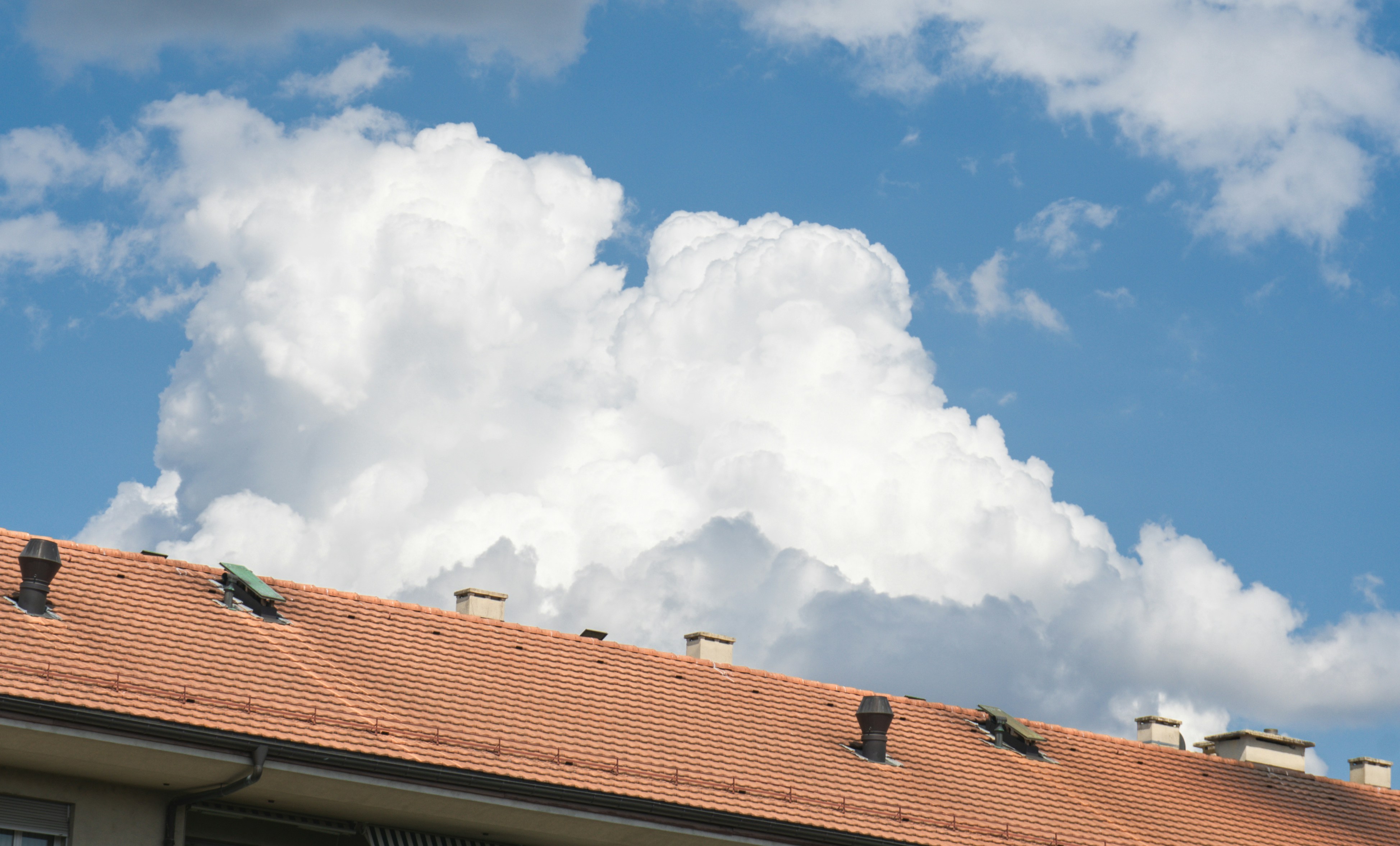 Photo by Meizhi Lang with Sony Alpha 7 III