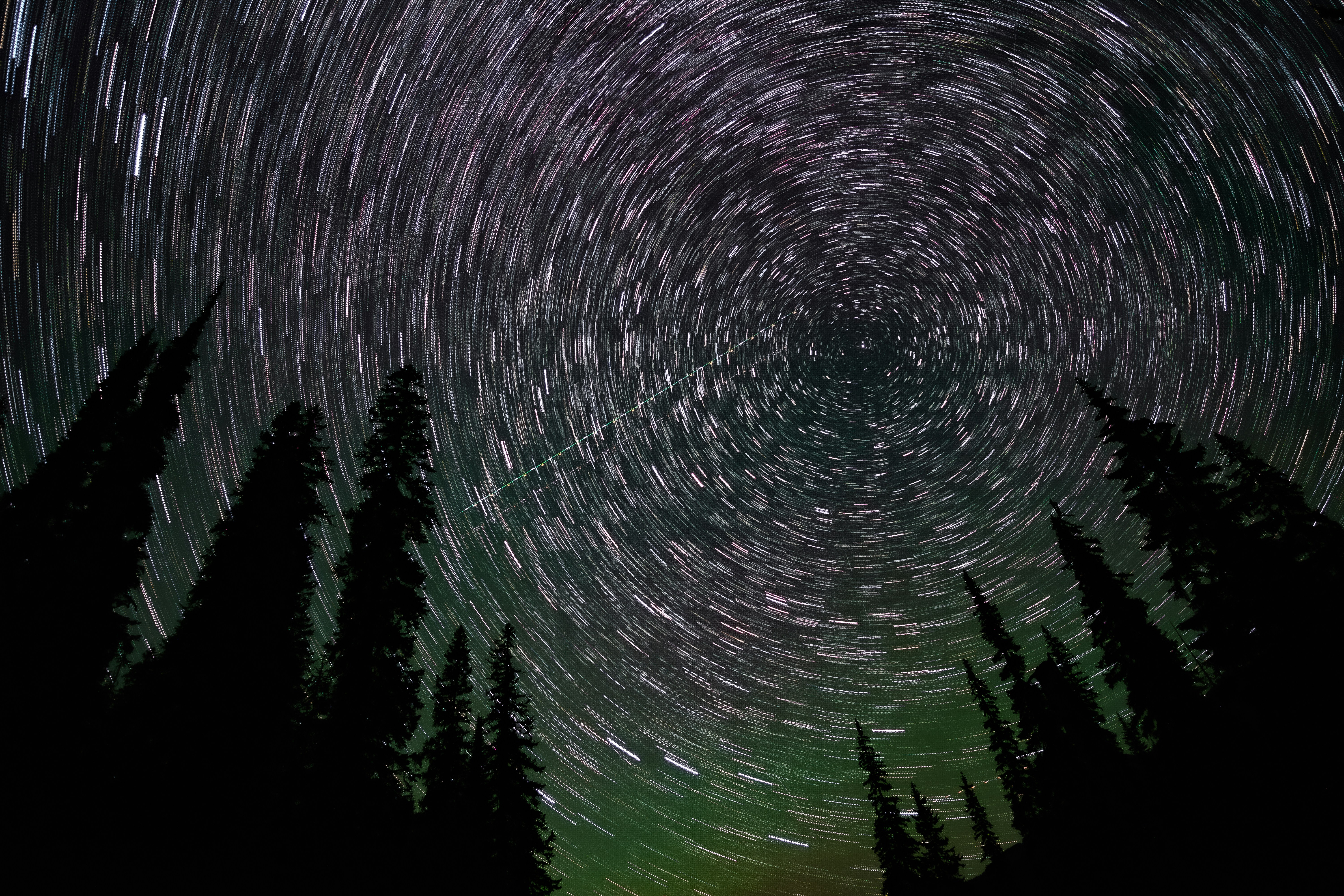 Spiral Night over Pines: A Long-Exposure Star Trails Portrait