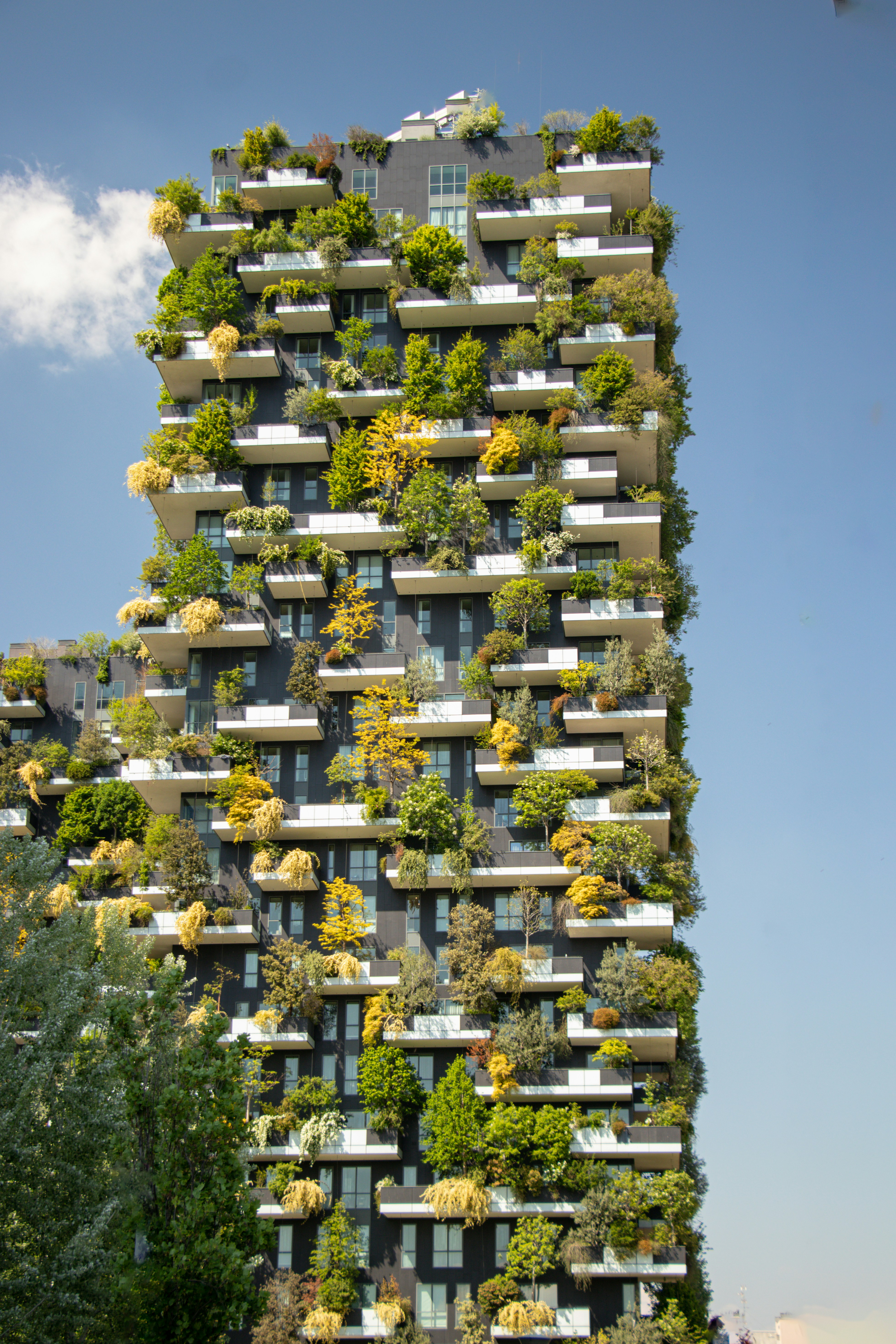 A very tall building with lots of plants growing on it photo – Free ...