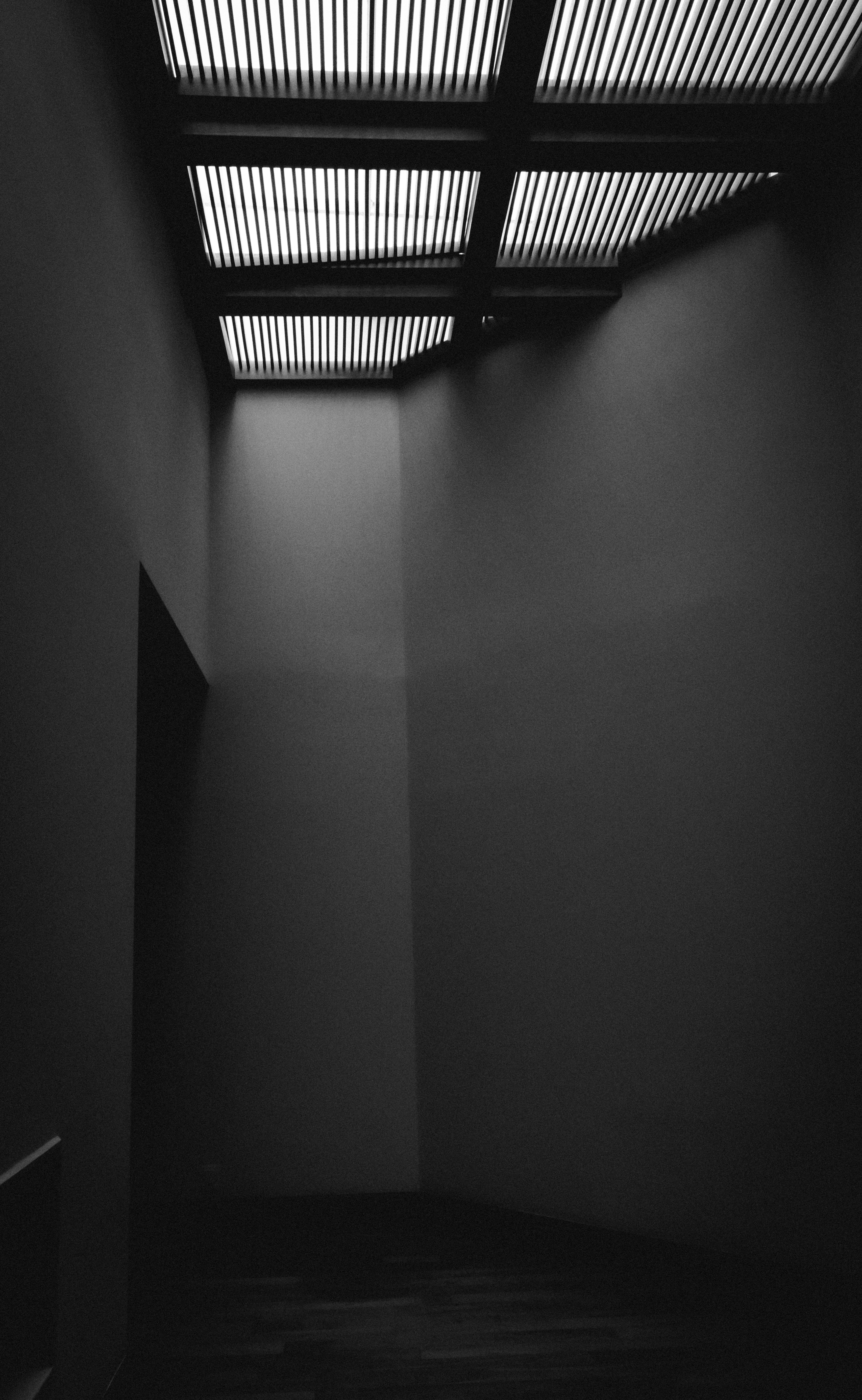 Photo by Jonathan Tesmaye Salvador with Nikon D5600