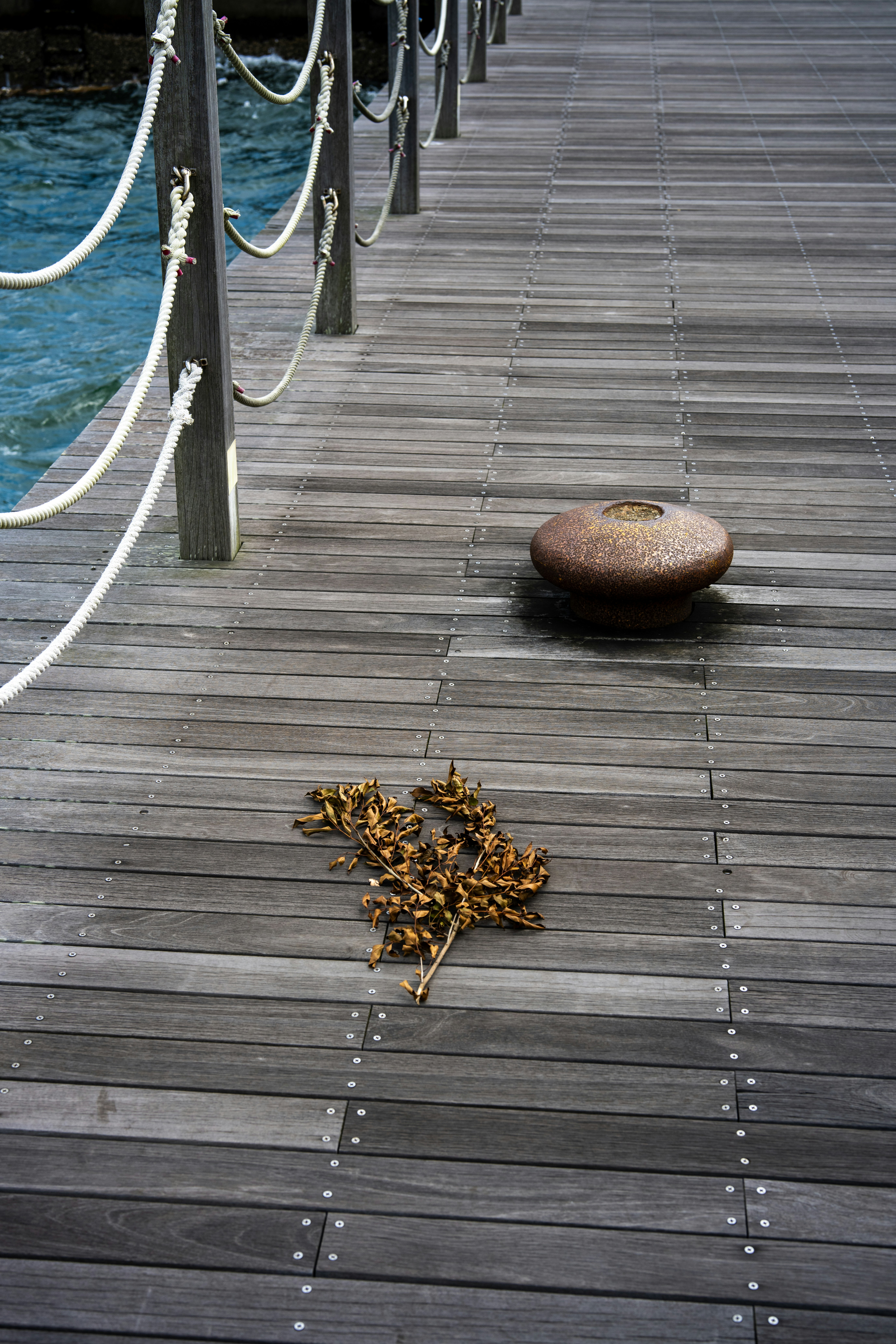 Rusty Mooring Bollard Anchors a Weathered Dock as Leaves Rest on Planks