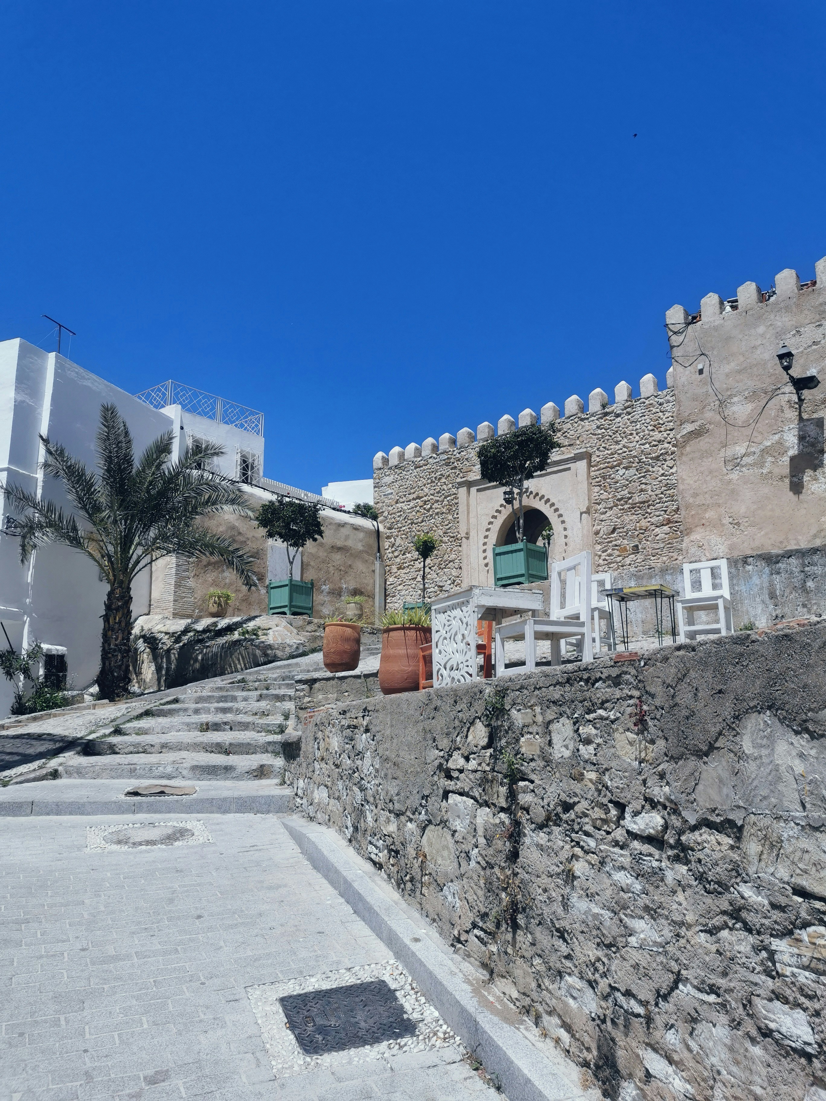 A cobblestone street lined with potted plants photo – Free Morocco ...