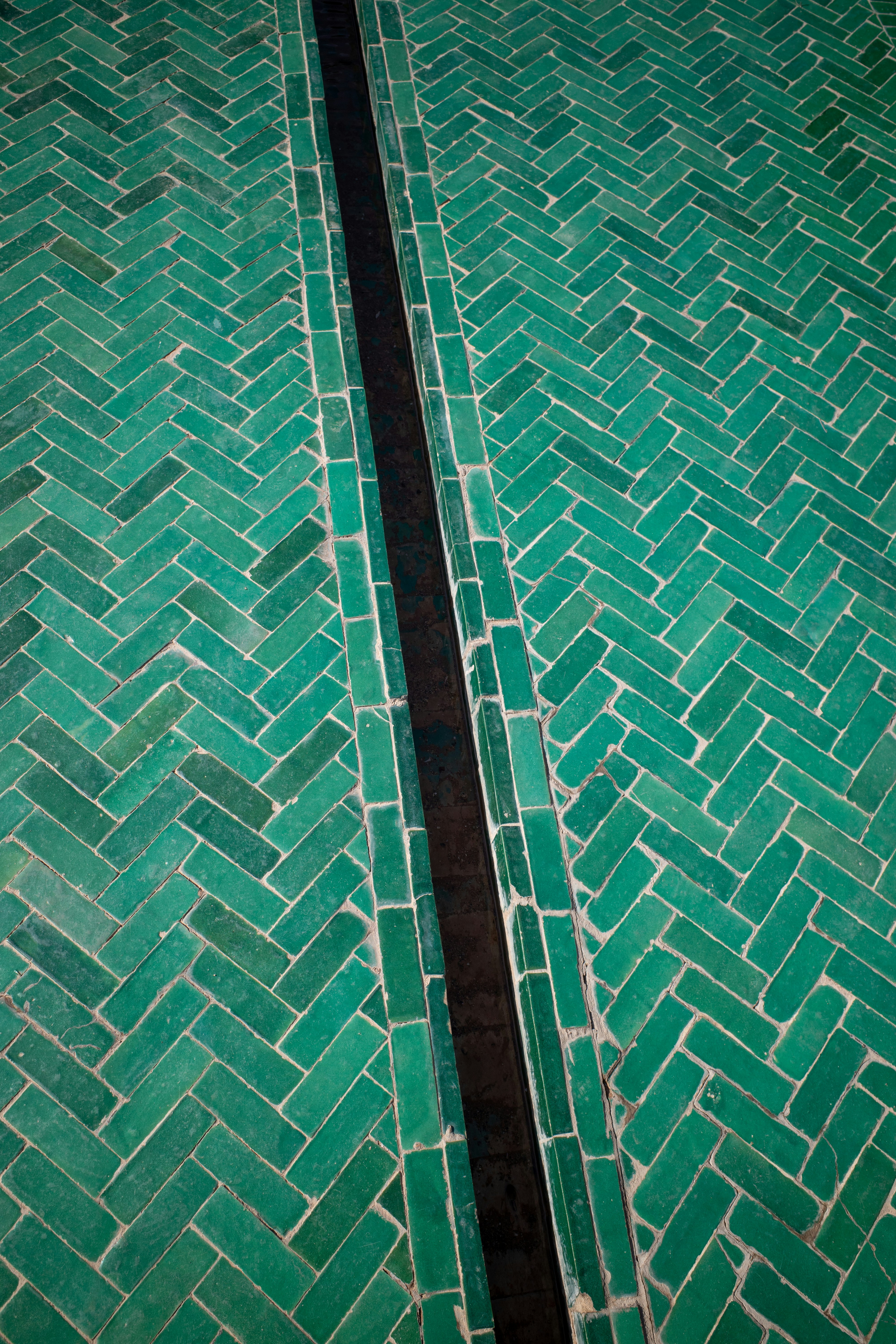 Emerald Vein Between Twin Herringbone Pavements