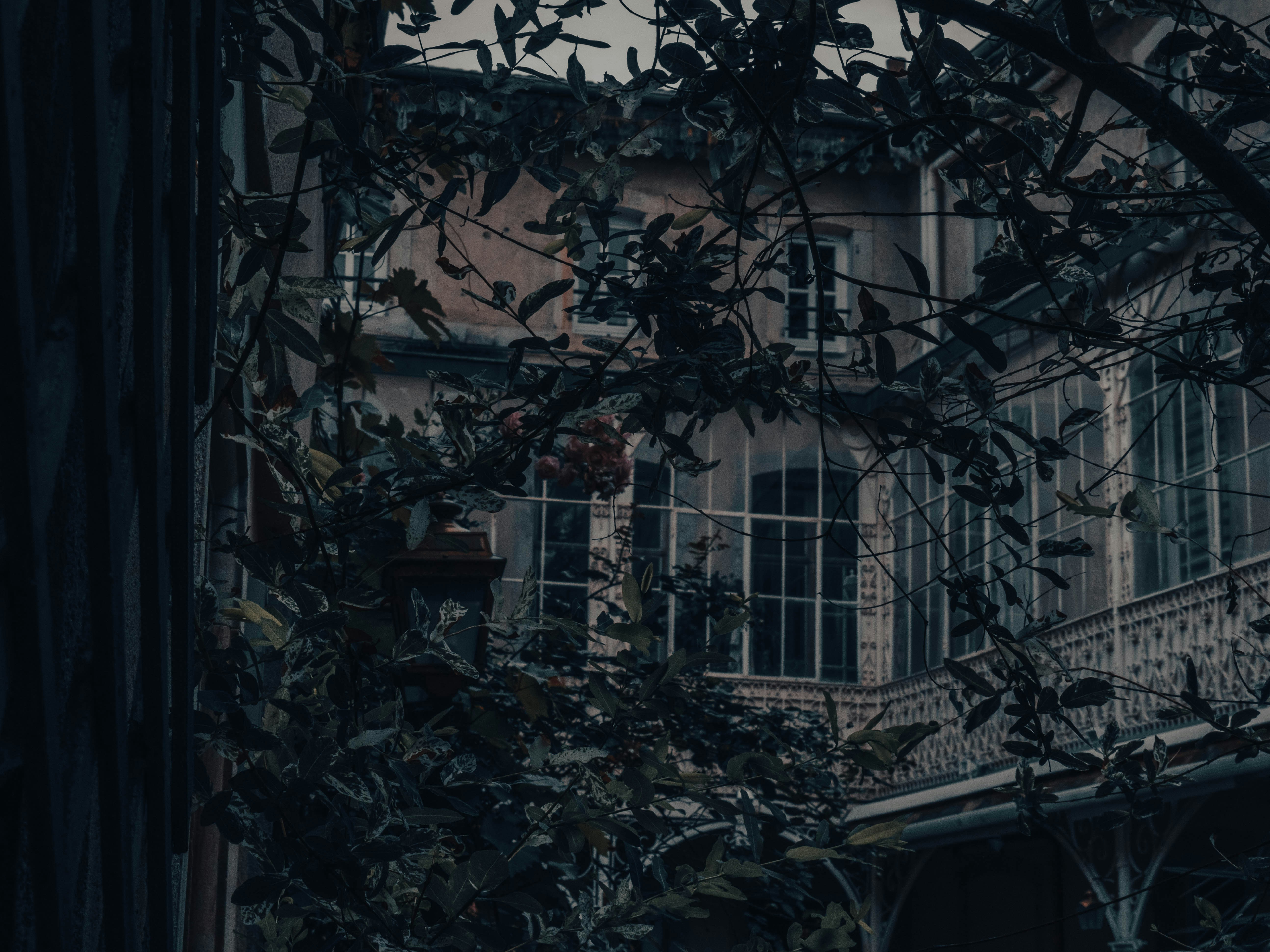 Photo by Hilderose with Panasonic Lumix G100