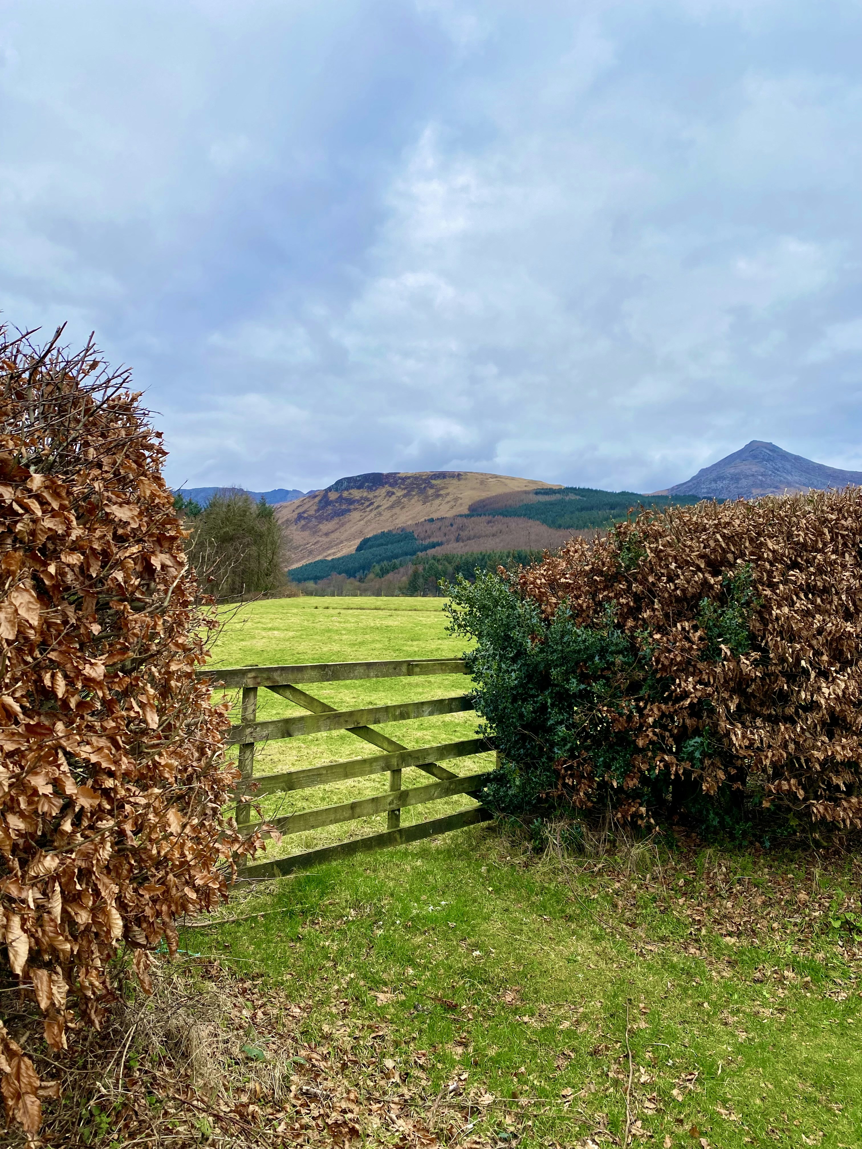 Hedge-Framed Gate to a Quiet Valley
