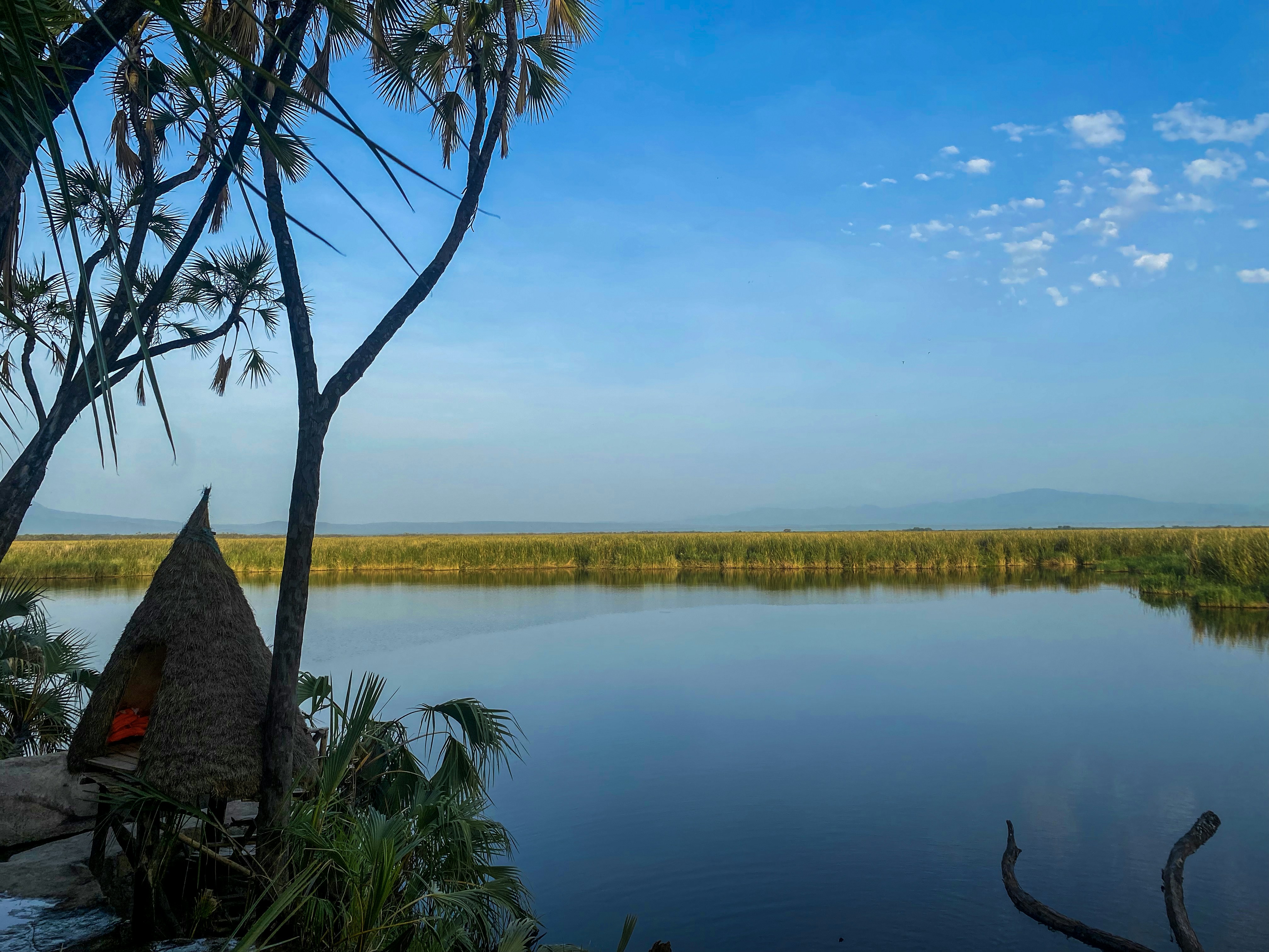 Shoreline Silhouette: Calm Lagoon Under a Wide Blue Sky