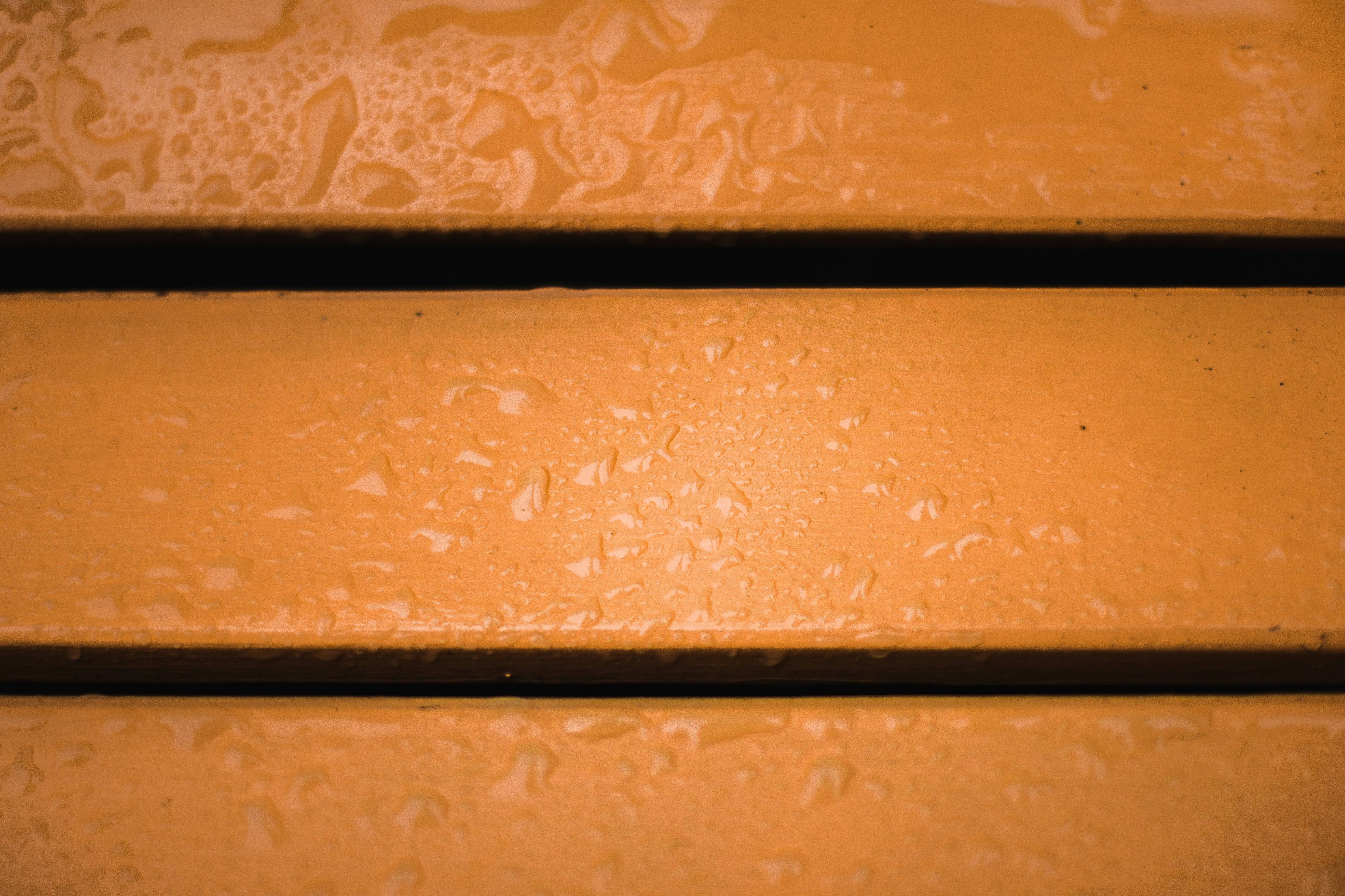 Photo by Steve Johnson with Canon EOS 550D