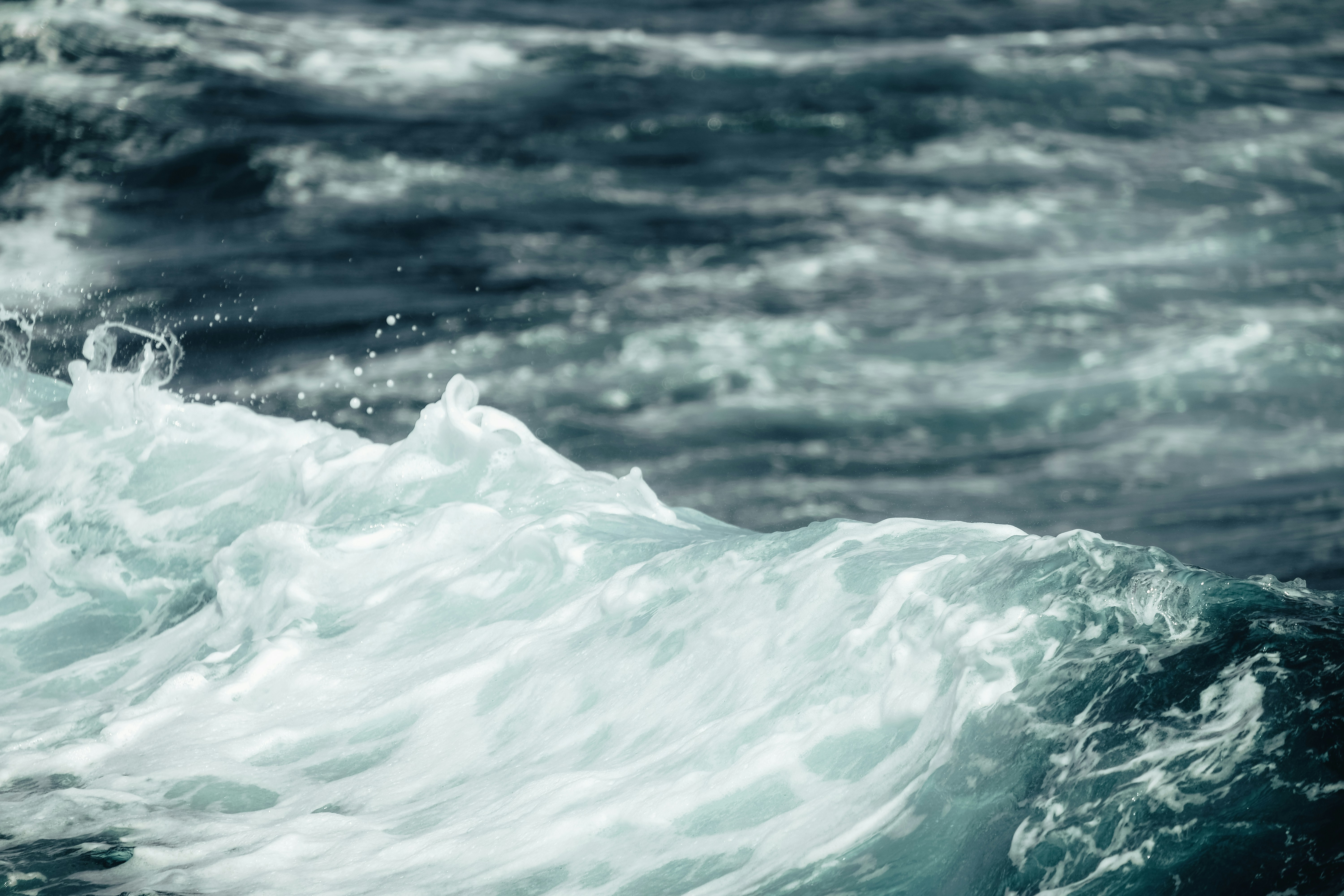 A man riding a wave on top of a surfboard photo – Free Waves Image on ...