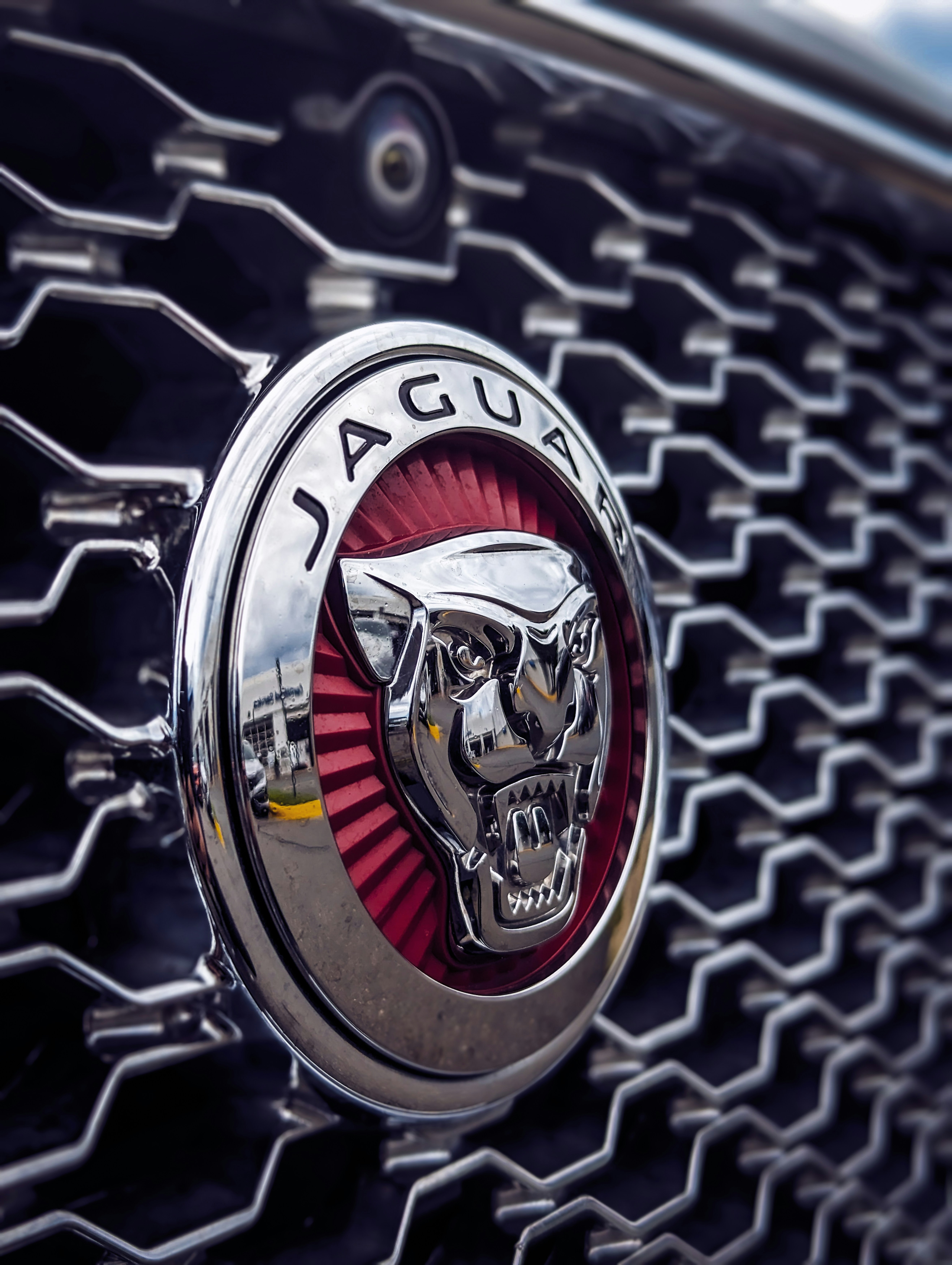 A close up of a jaguar emblem on a car photo – Free Logo Image on Unsplash