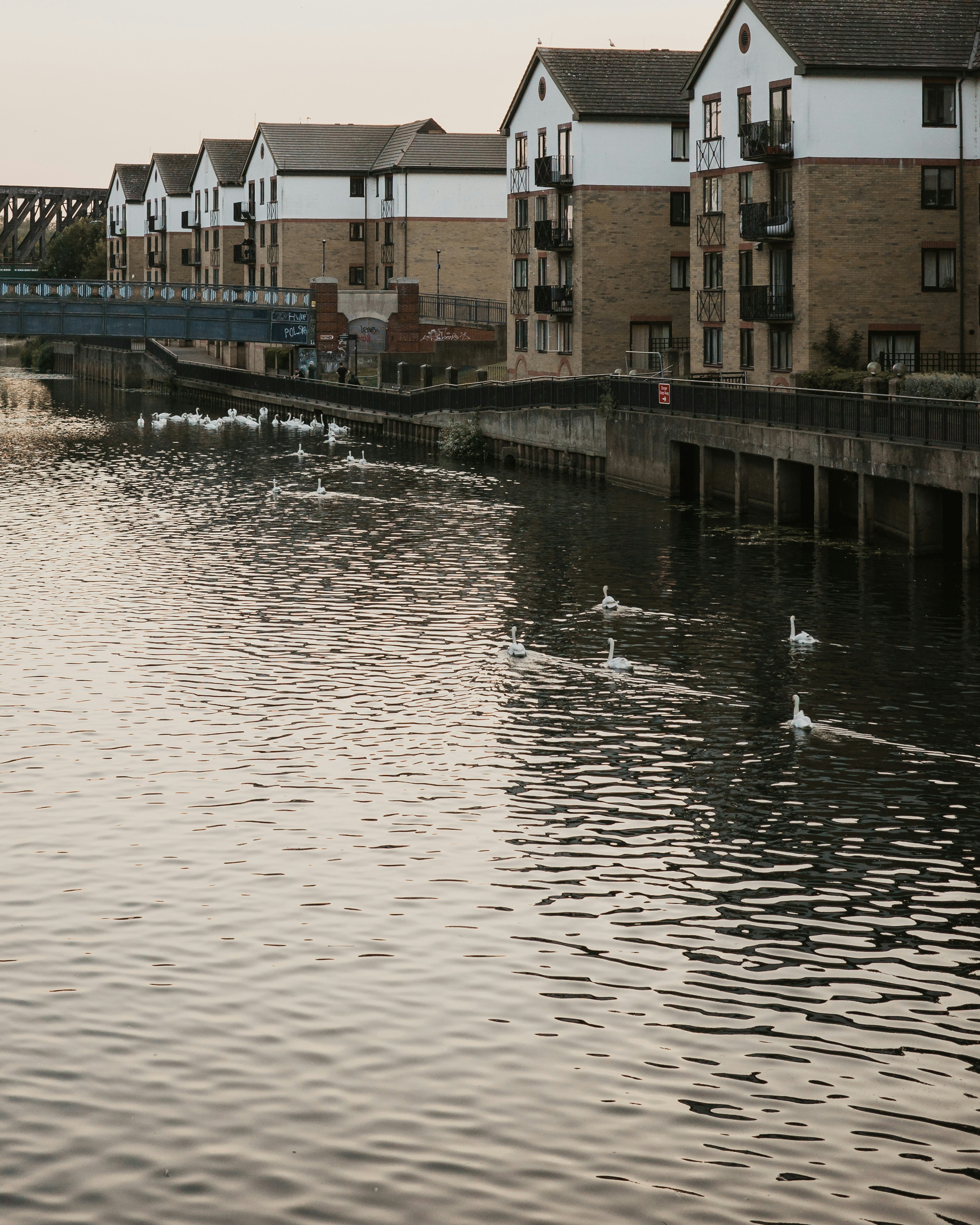 Harbor Row at Dusk: White-Walled Flats Framing a Quiet Canal