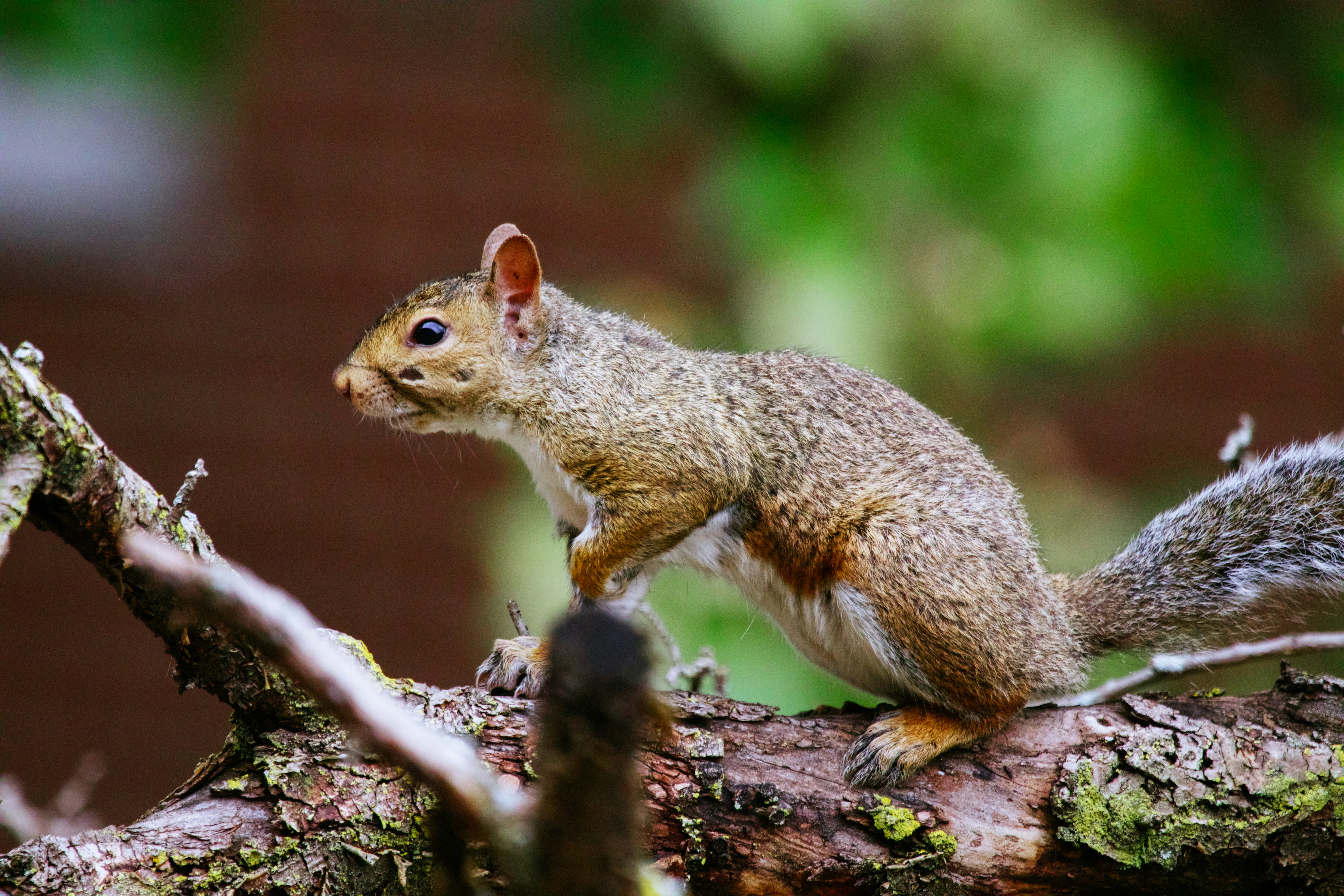 Photo by Destiny Photography with Canon EOS 77D