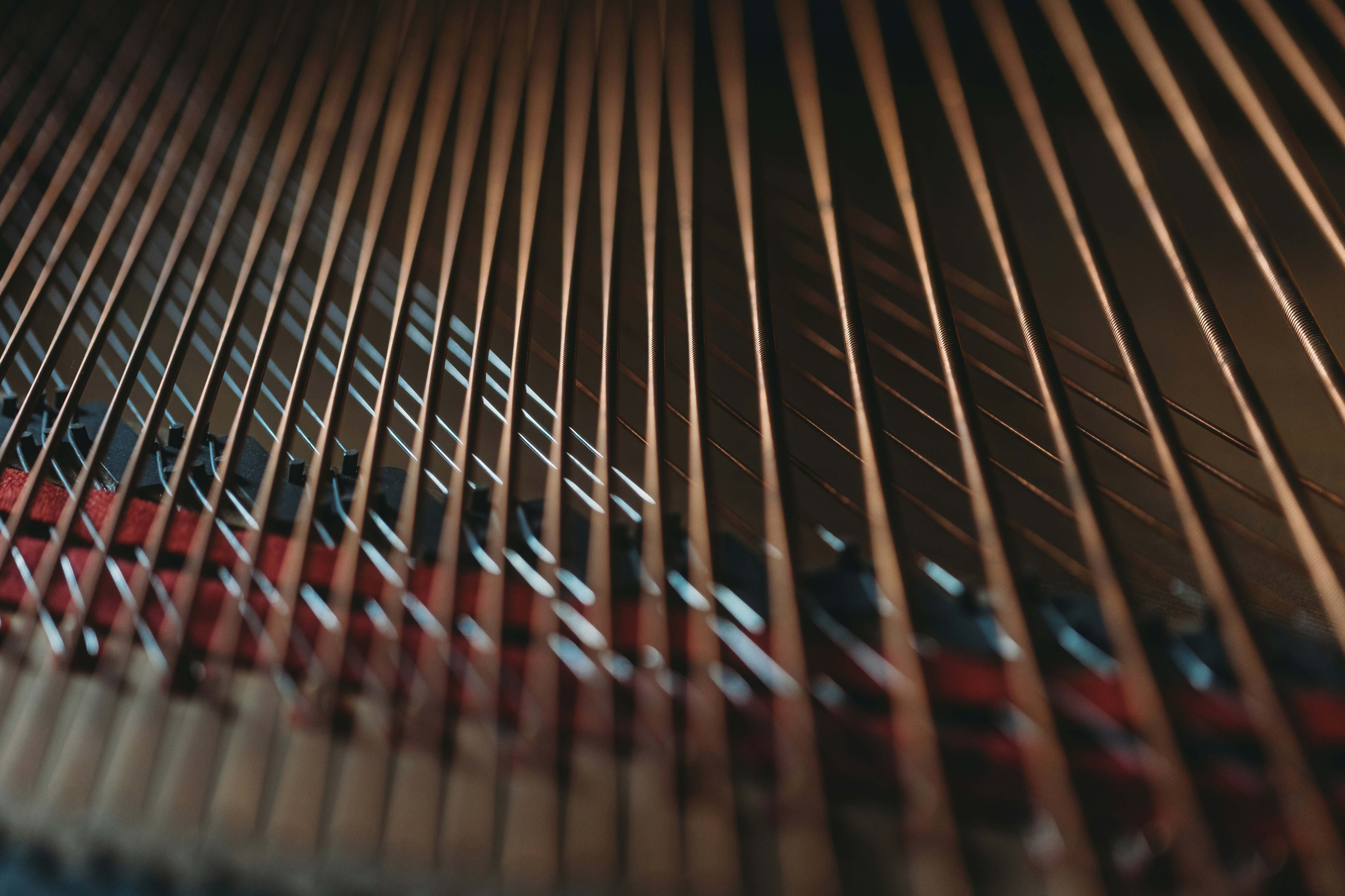 A close up view of a piano strings photo – Free Bottleworks hotel Image ...