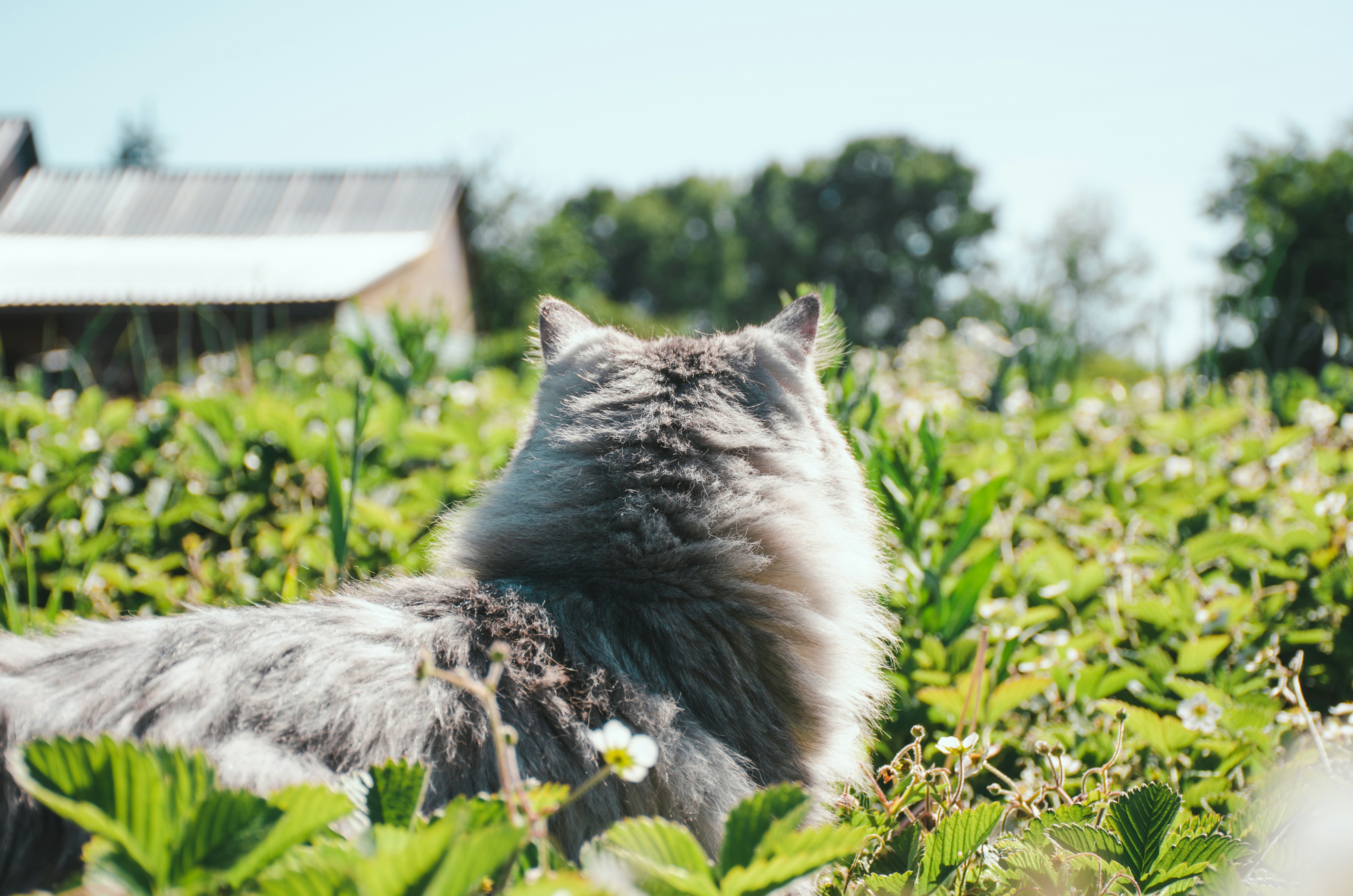 Photo by Unknown Unnamed with Nikon D5100