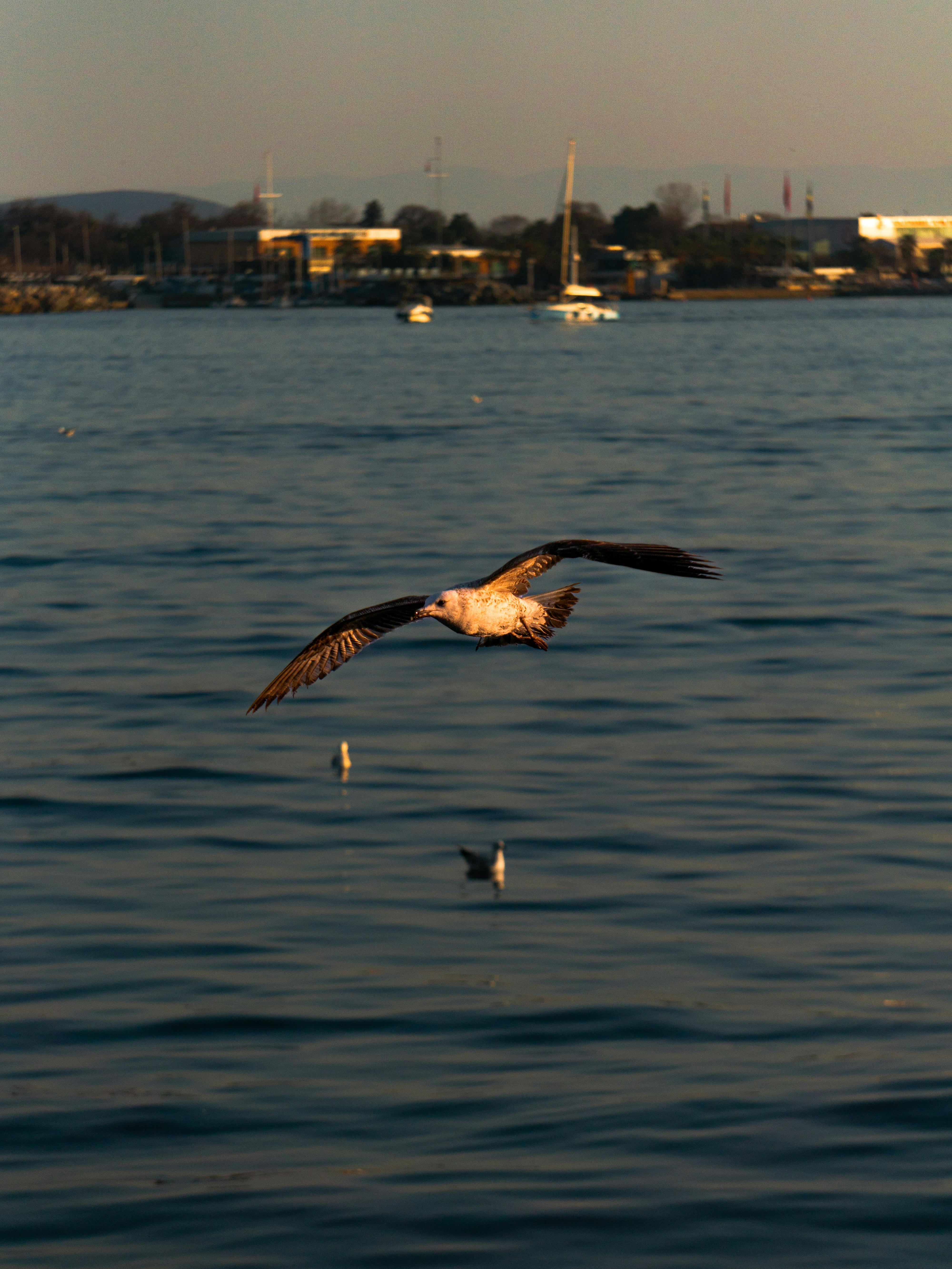 Photo by Taha Tolga Aksoy with Sony Alpha 6000