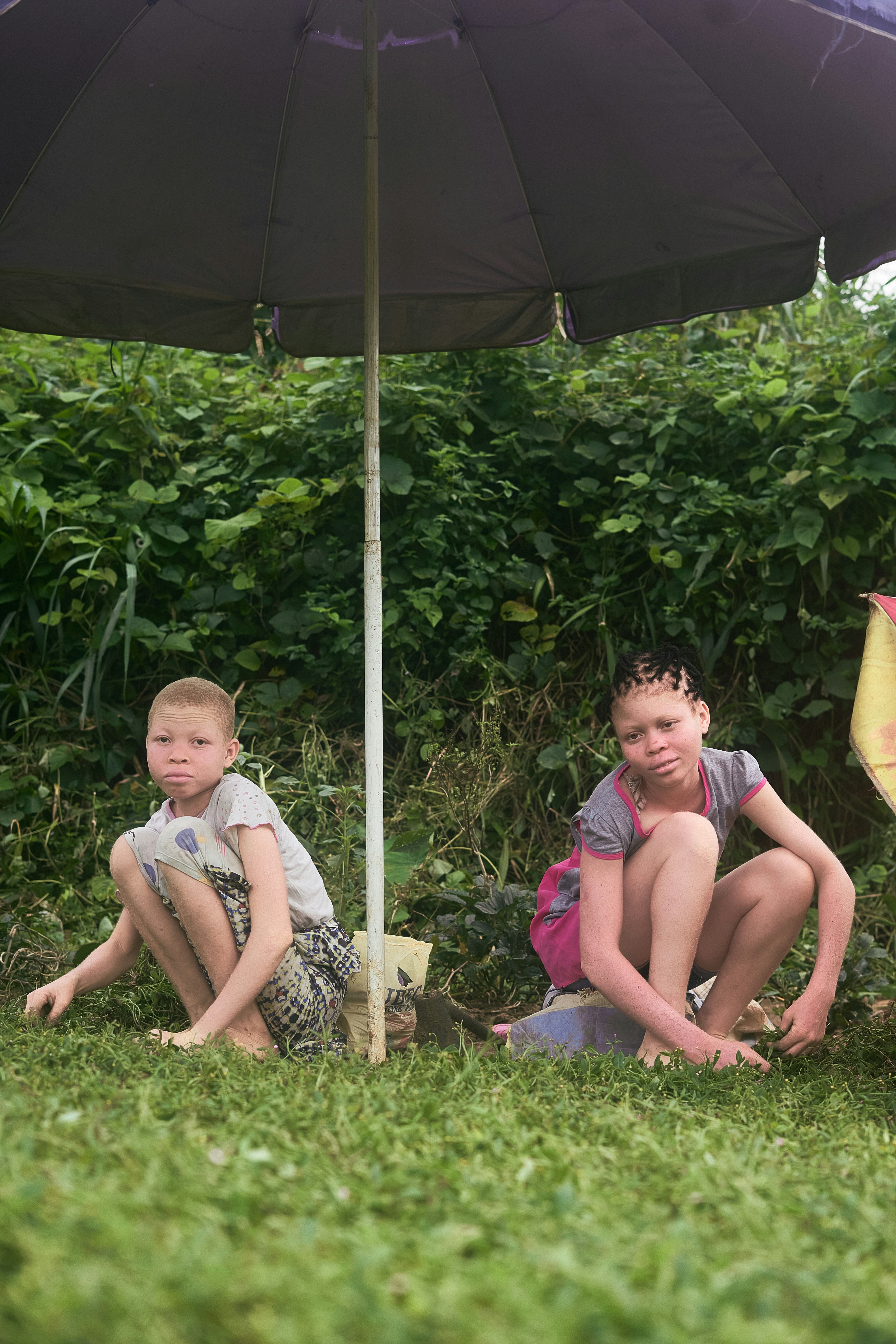 Under the Umbrella: Quiet Companions in a Green Clearing