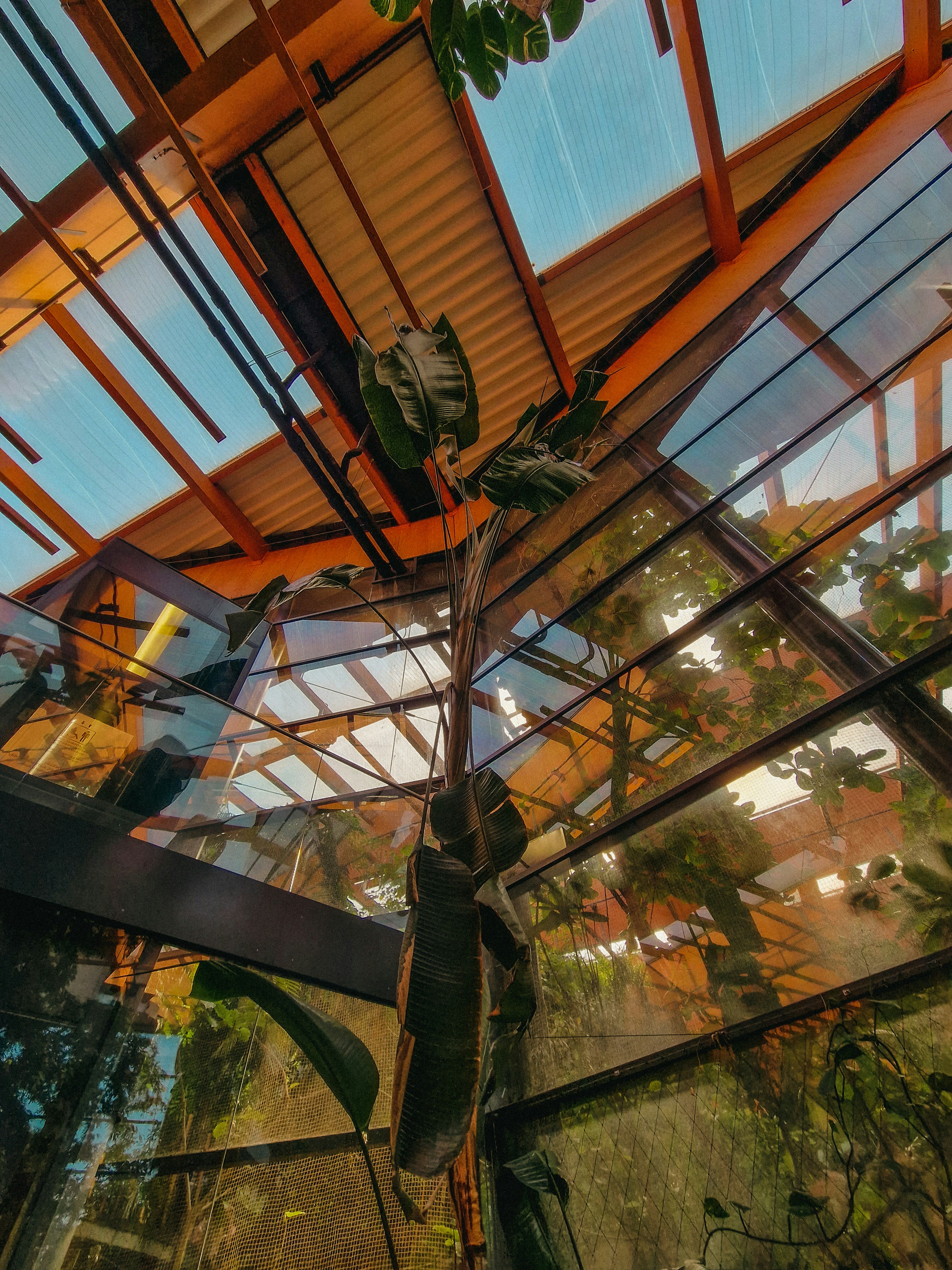 Understanding the Molecular Mechanisms of House Plants