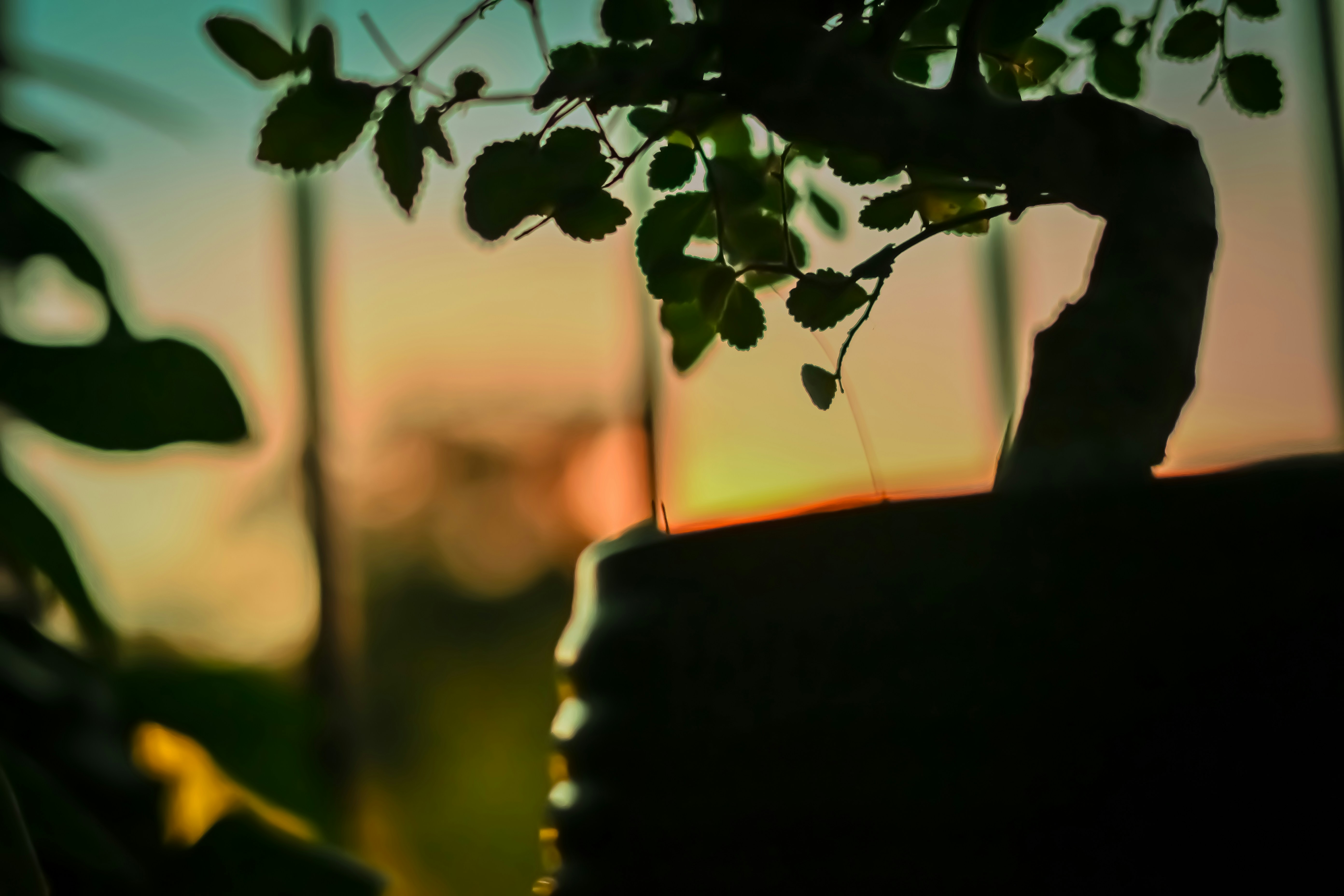 Photo by Lucia Sorrentino with Nikon Z50