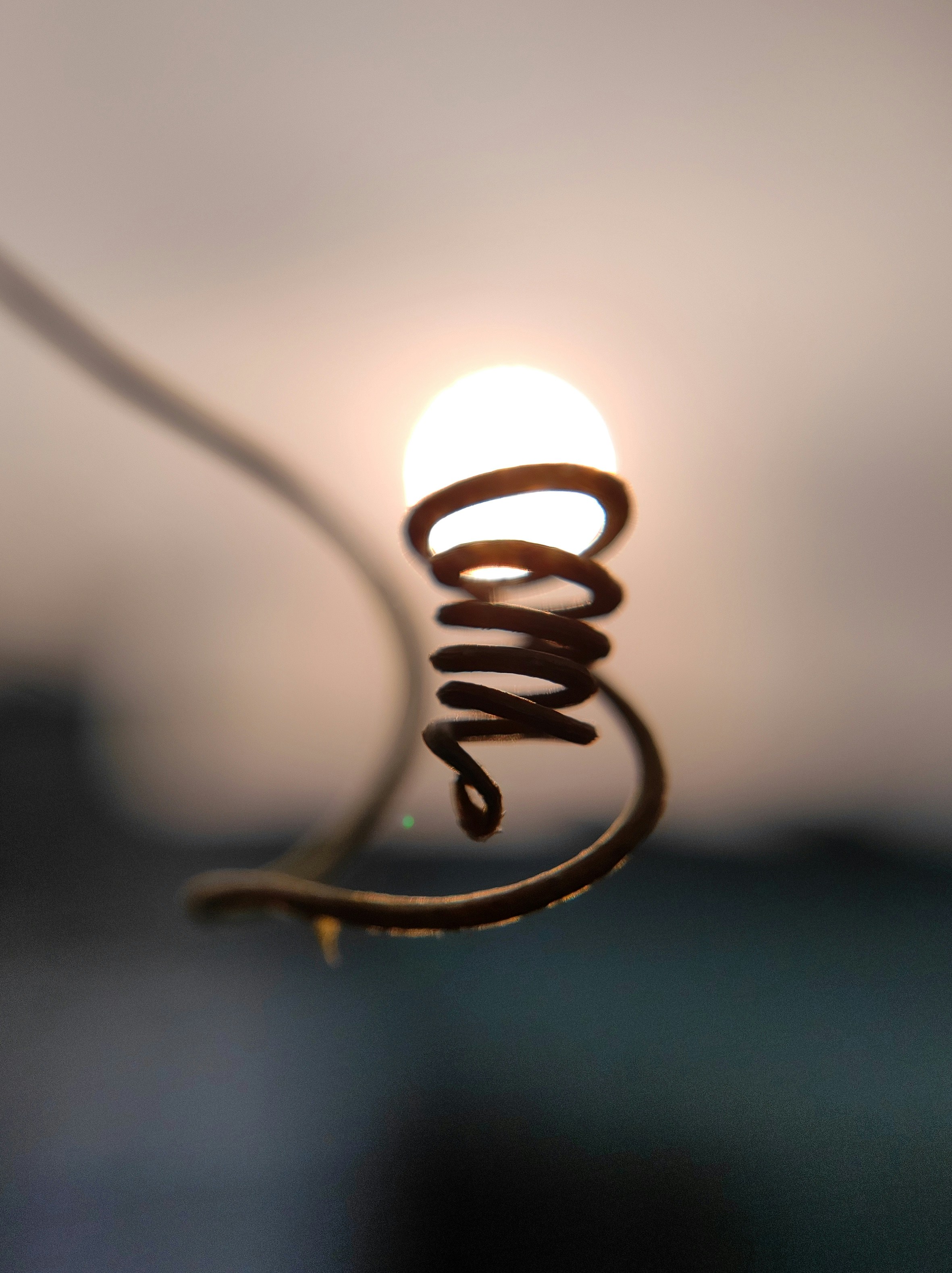 Sunlit Spring: a macro study of a rusted coil against a blurred skyline