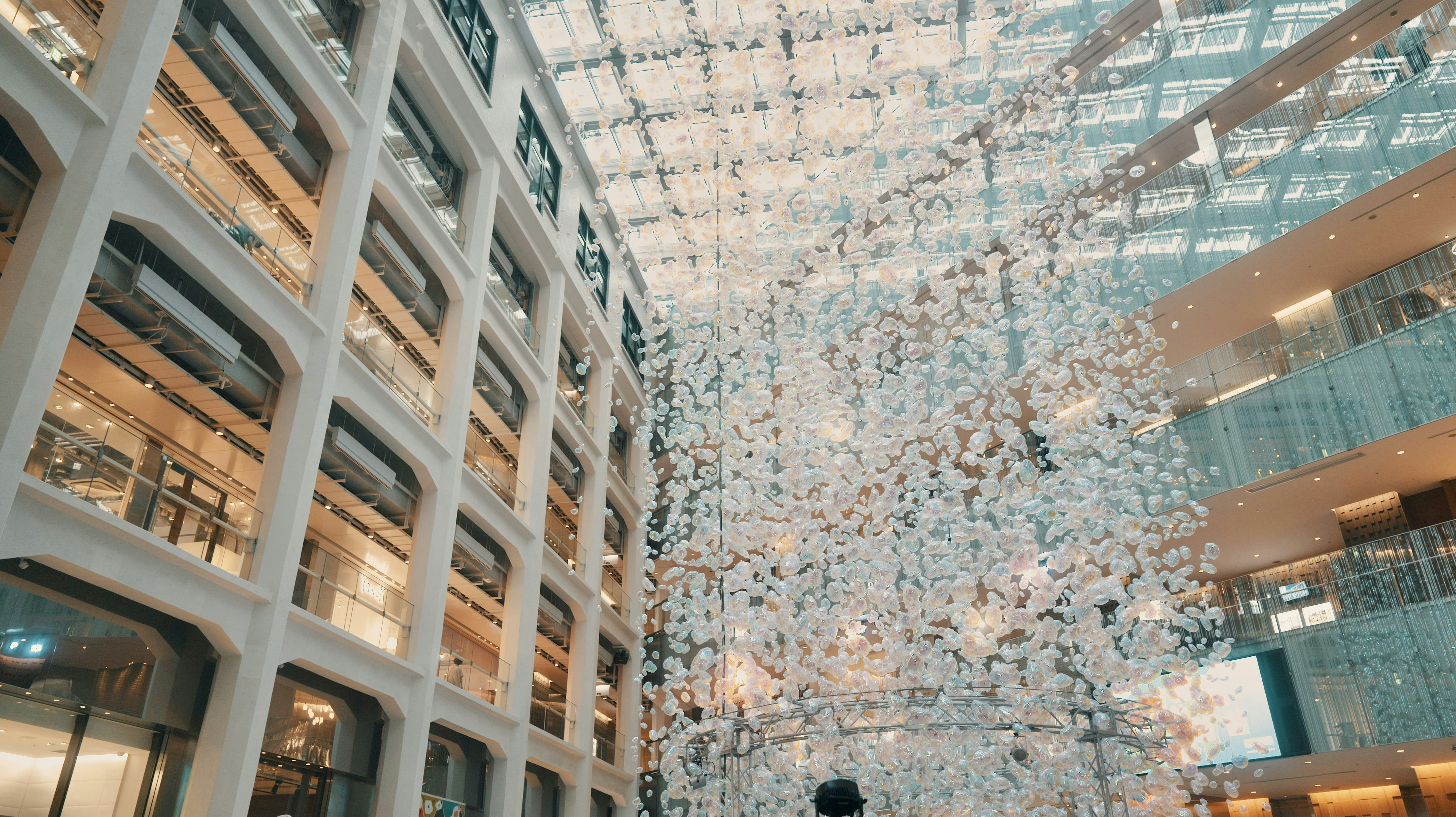 Photo by Leo Okuyama with Panasonic Lumix S5 II