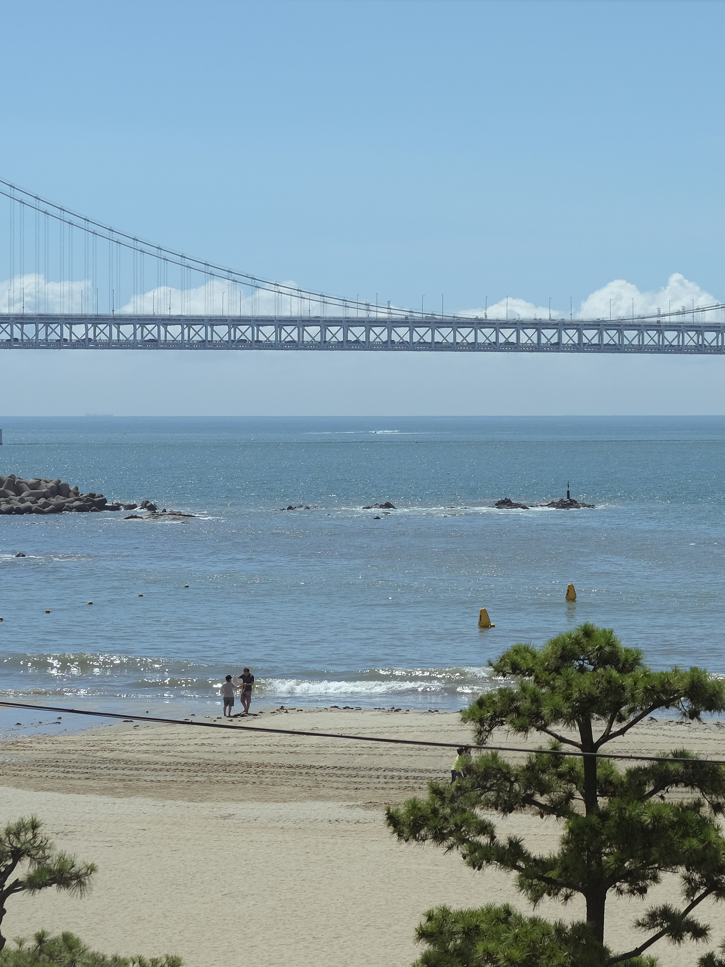 Blue Span Over Quiet Shore: Morning Walk Beneath the Suspension Bridge