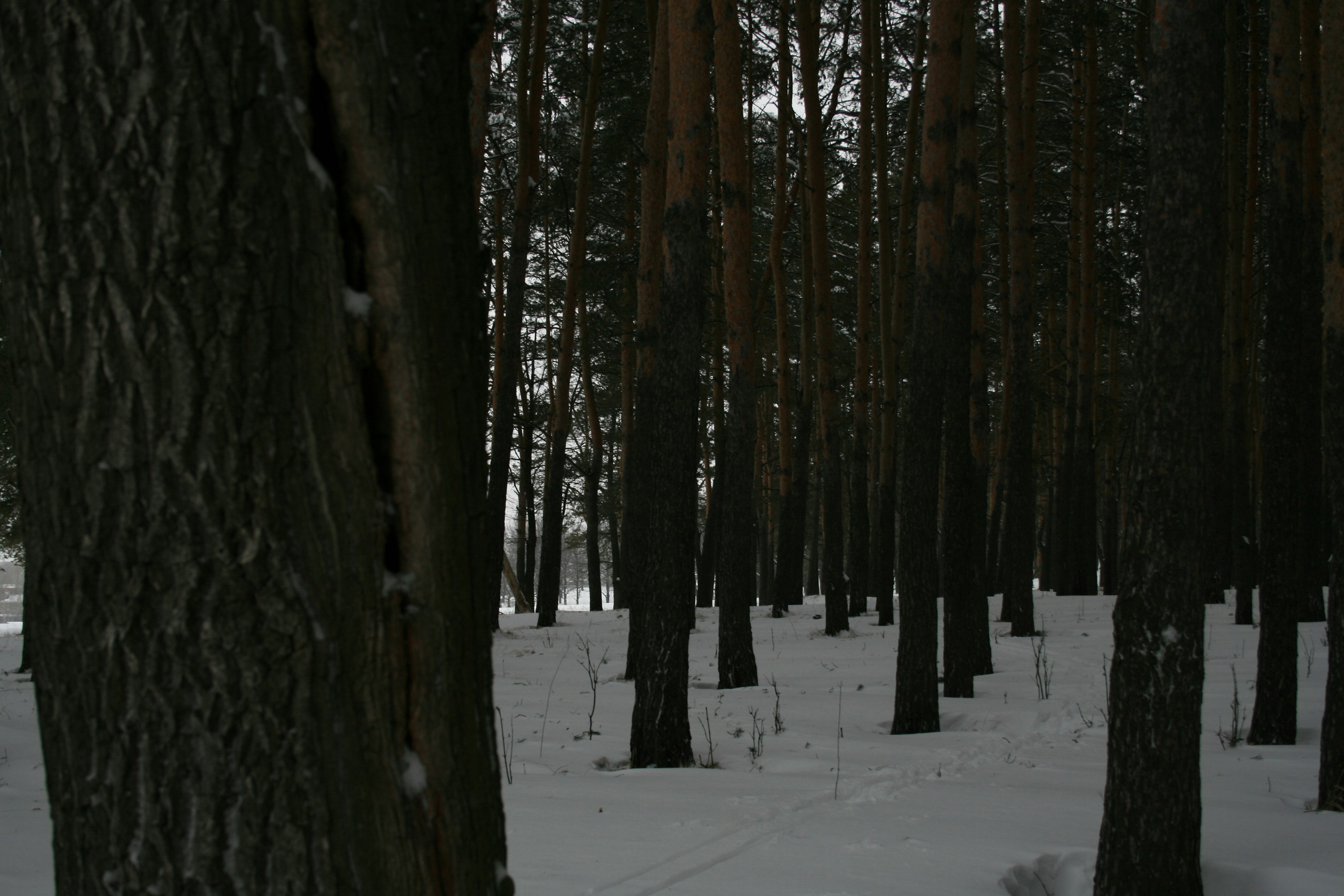 Photo by Victoria Tyur with Canon EOS 400D