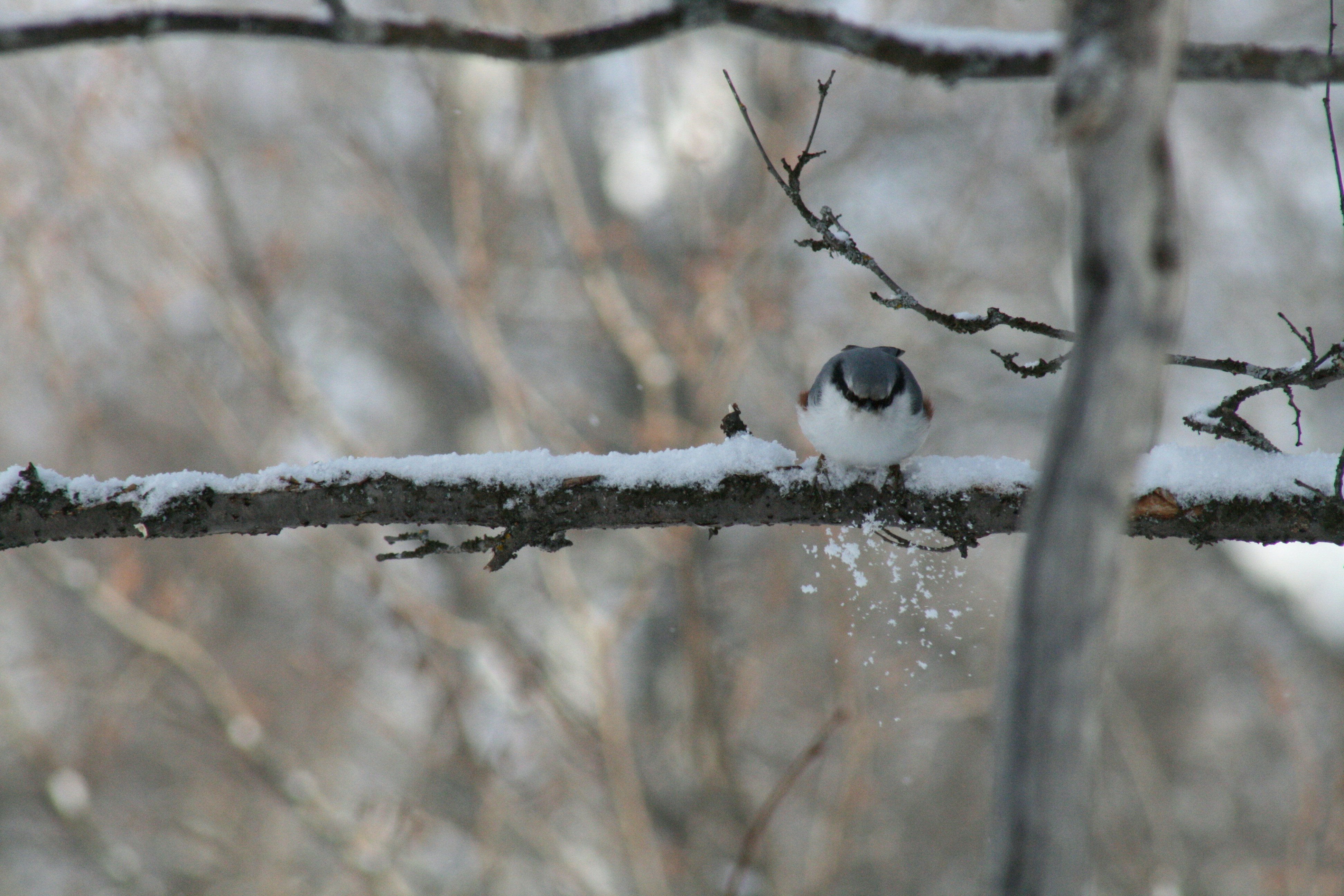 Photo by Victoria Tyur with Canon EOS 400D