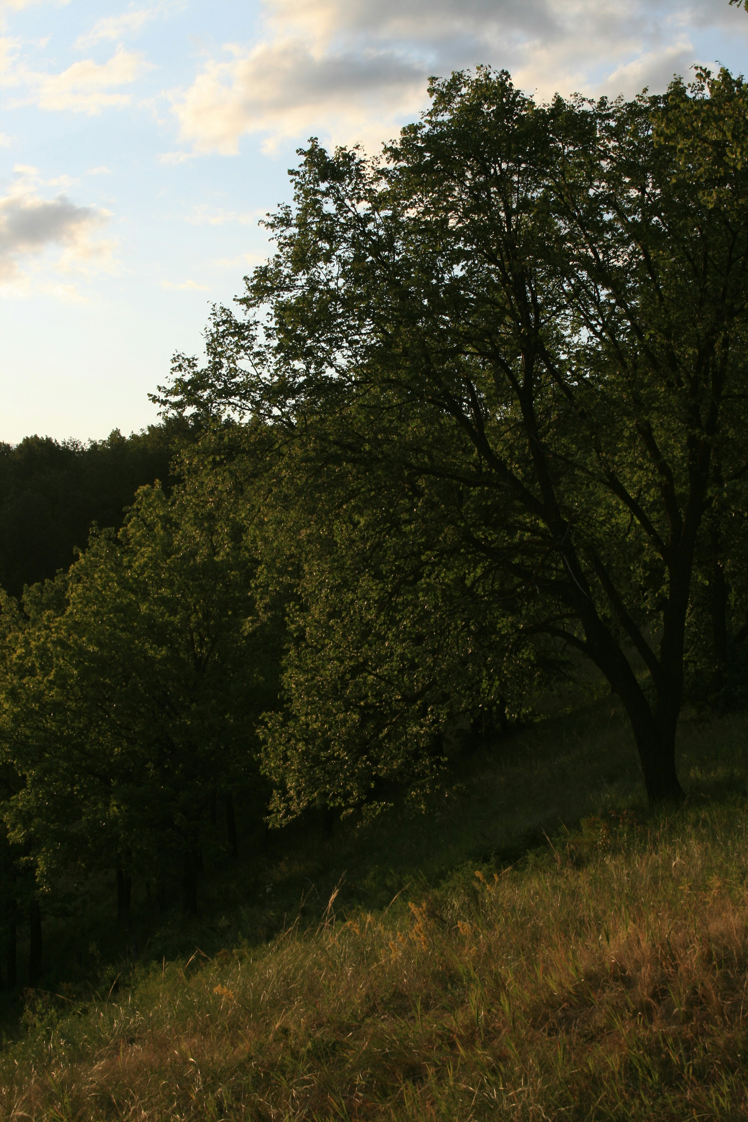 Photo by Victoria Tyur with Canon EOS 400D