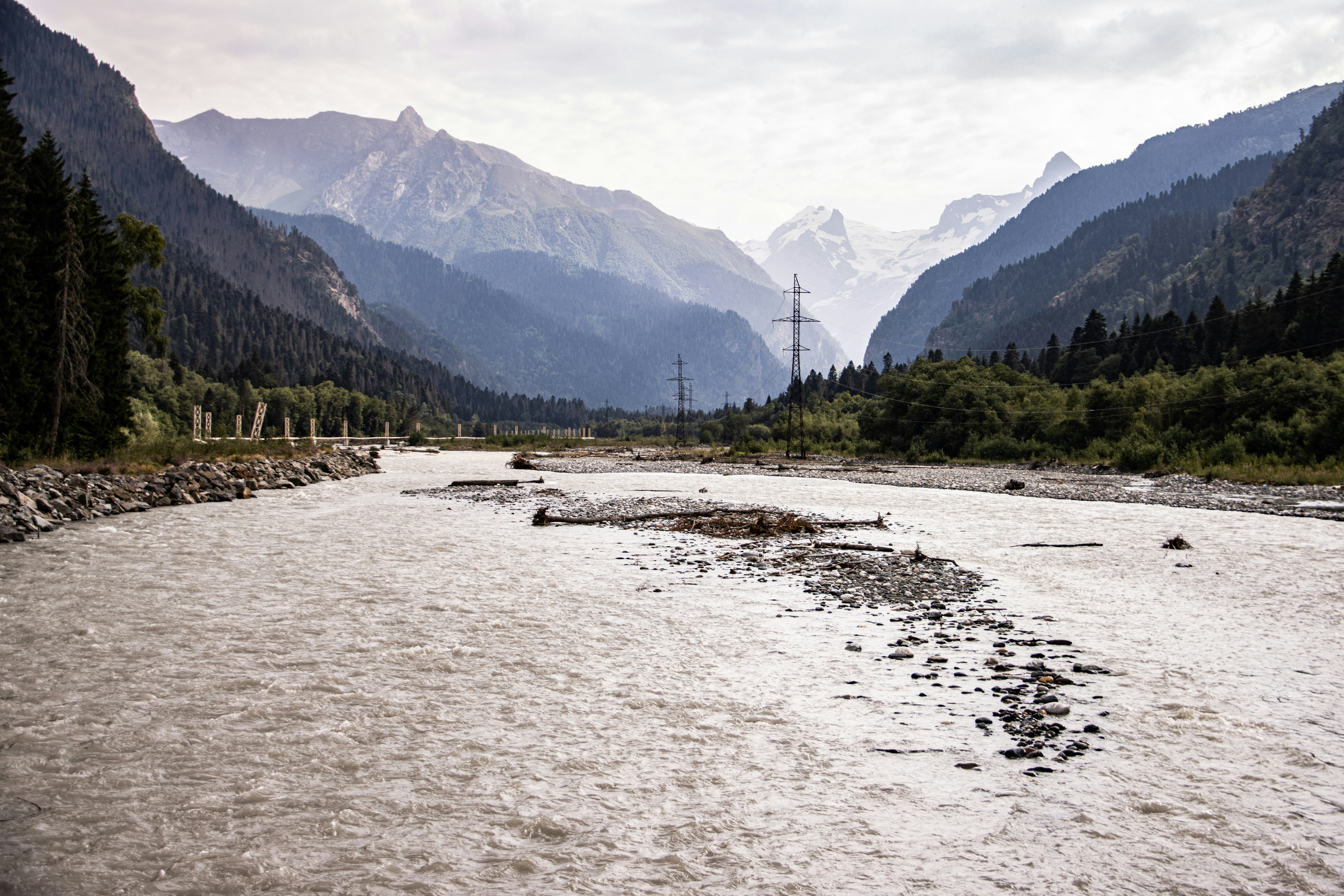 Une rivière qui coule à travers une forêt verdoyante photo – Image ...