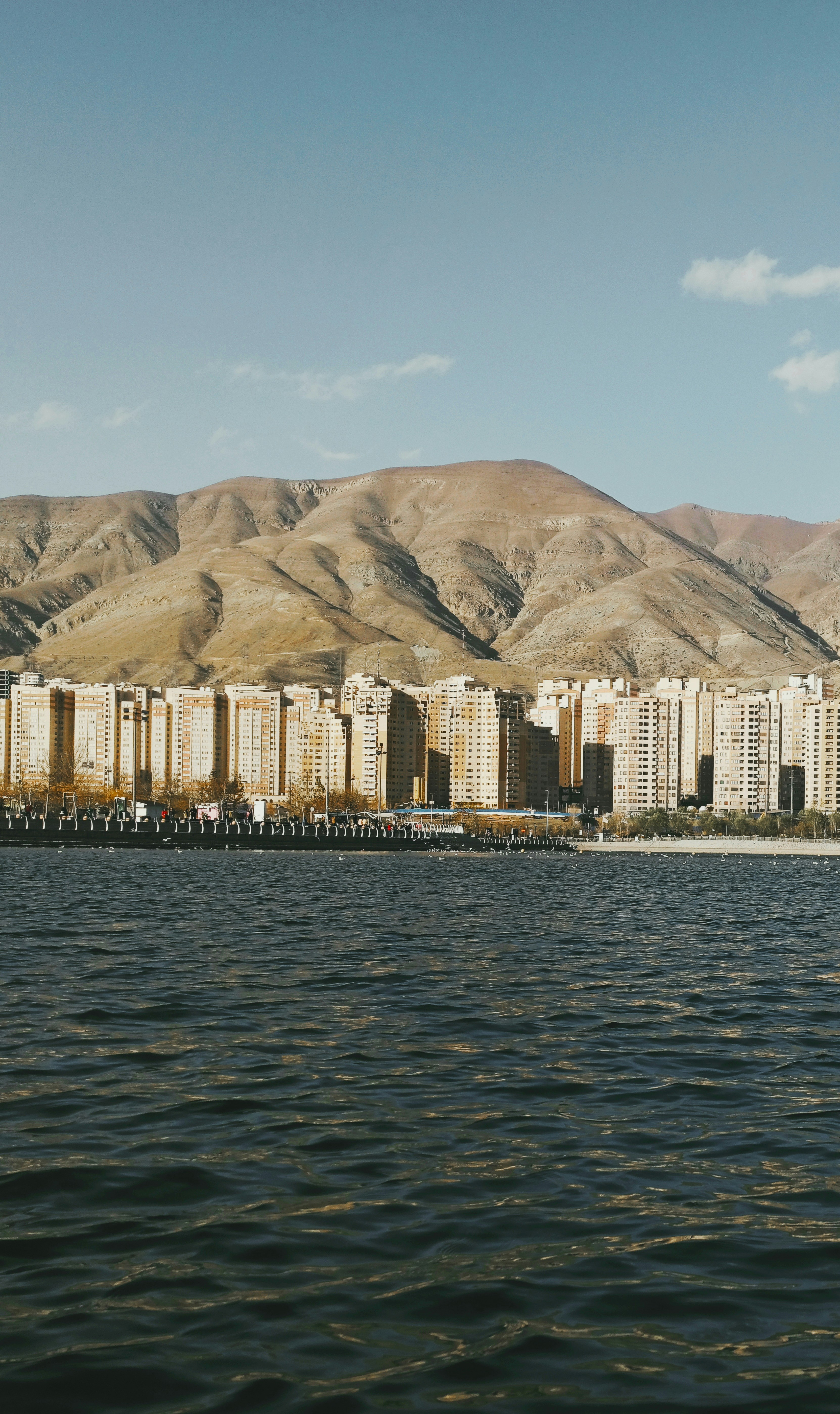 Shoreline Towers Framed by a Rugged Mountain Ridge