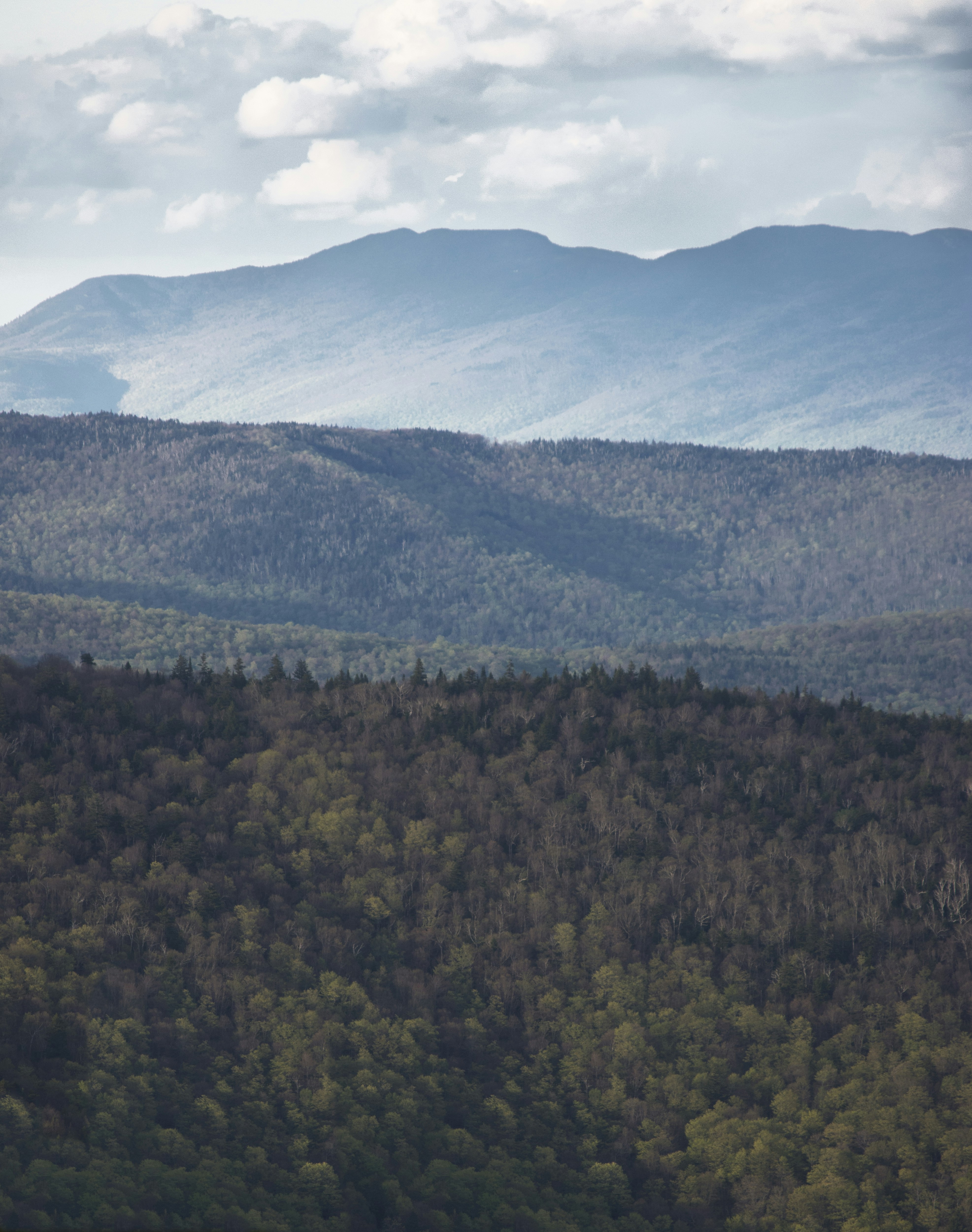 Somewhere in Vermont. | a view of a mountain range with trees in the foreground