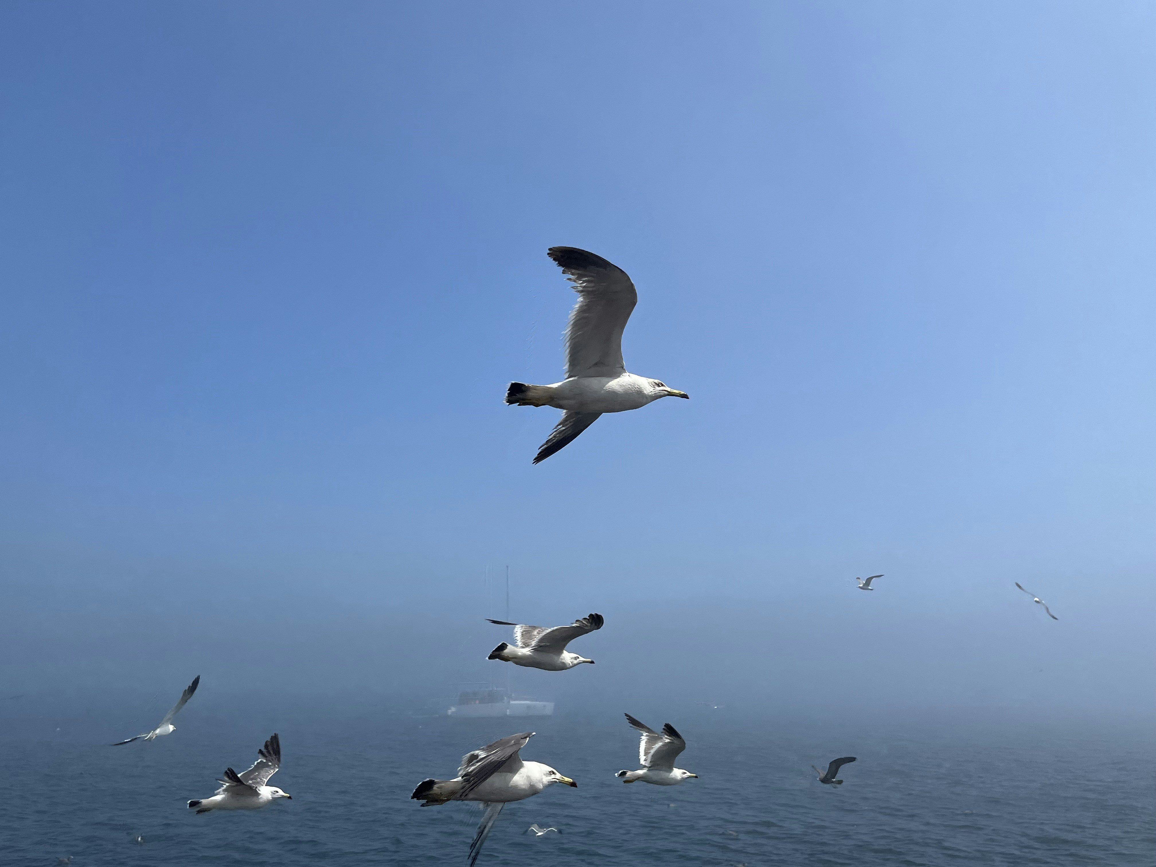 与蚝 度 (@pheasant7777) | Communauté photos Unsplash