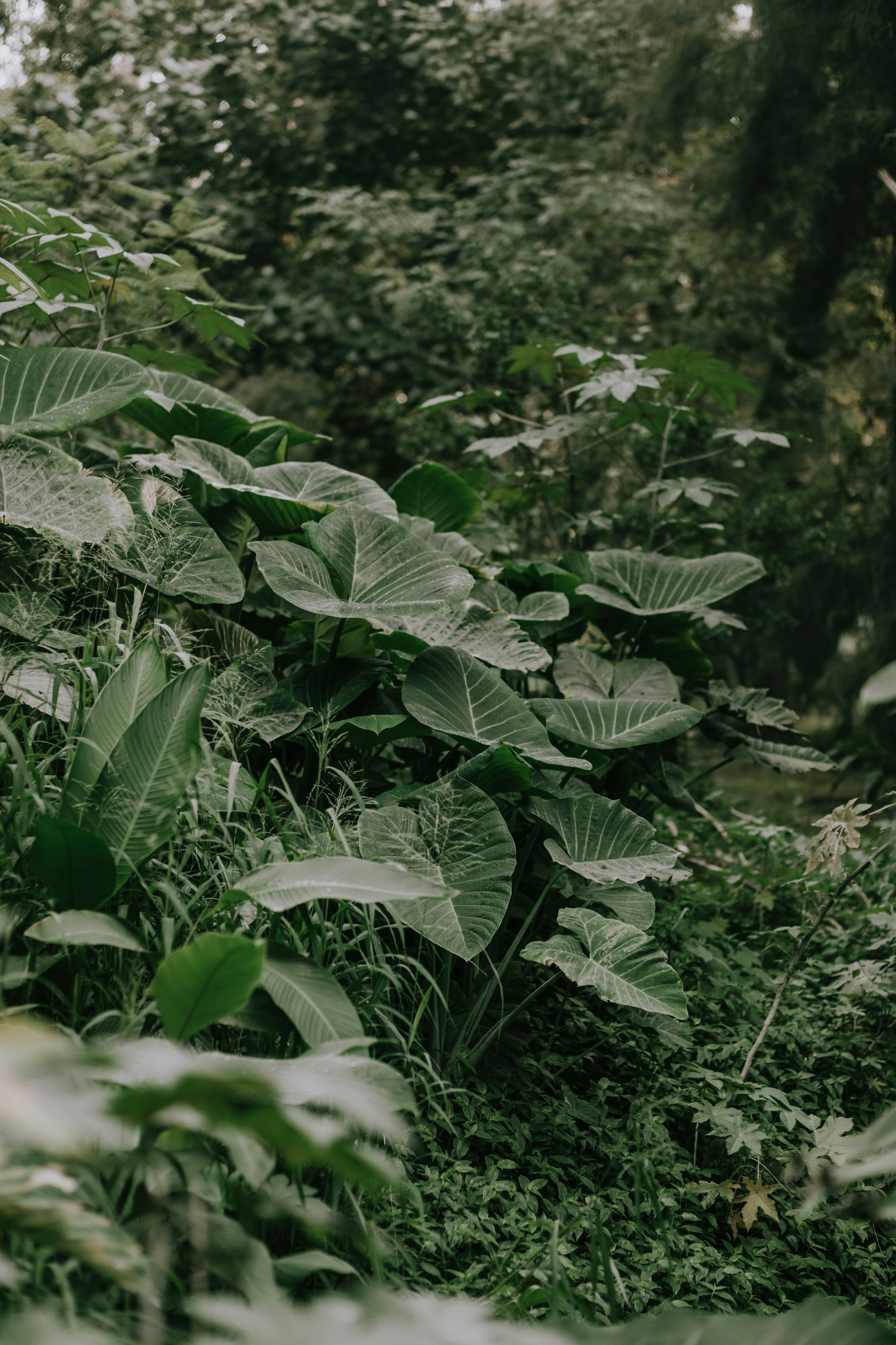 Photo by Miguel Hernández with Canon EOS 5D Mark IV