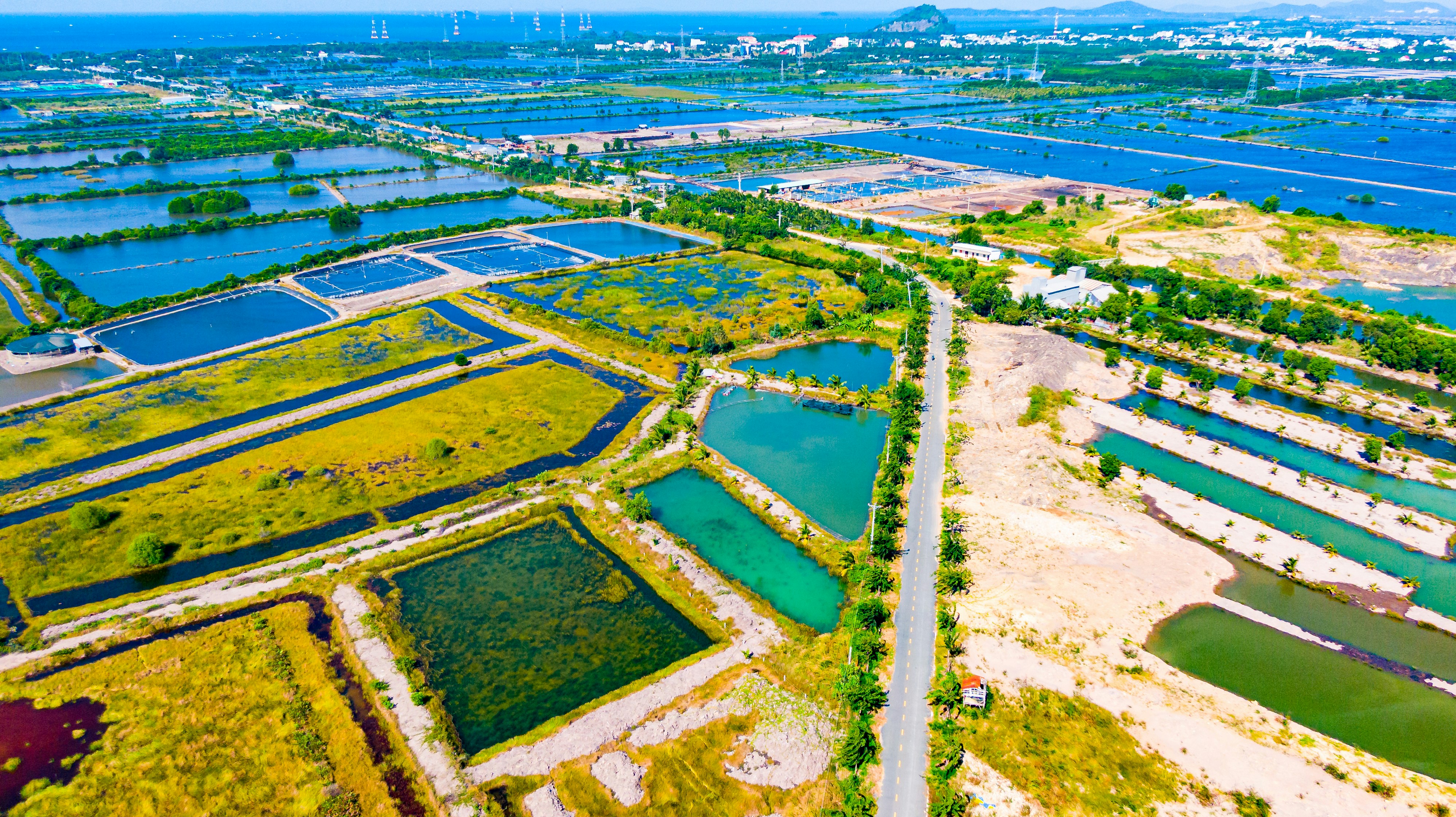 Turquoise Grid: An Aerial Tour of Coastal Salt Ponds