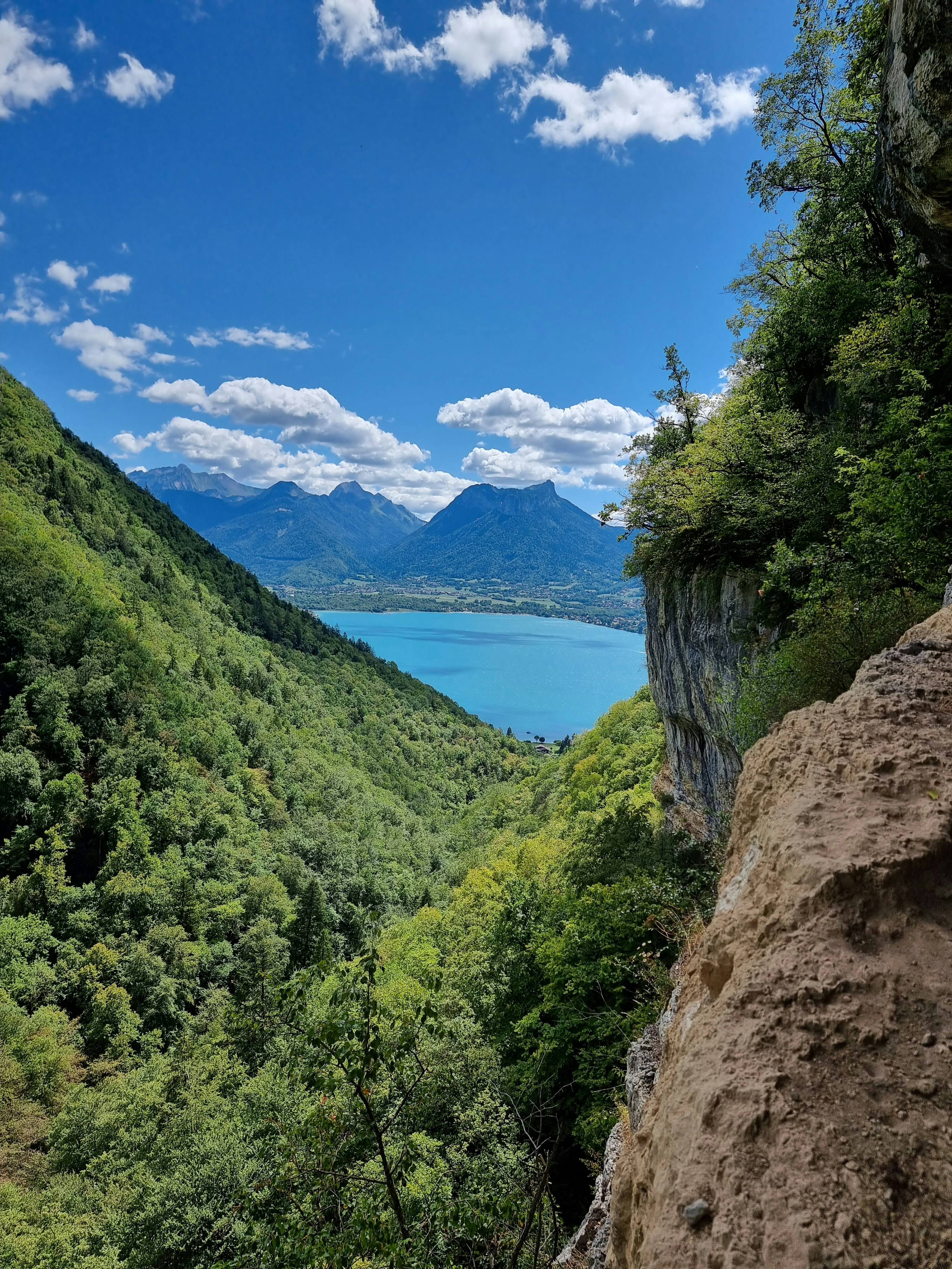 Alpine Vista: A Glimpse Through the Green