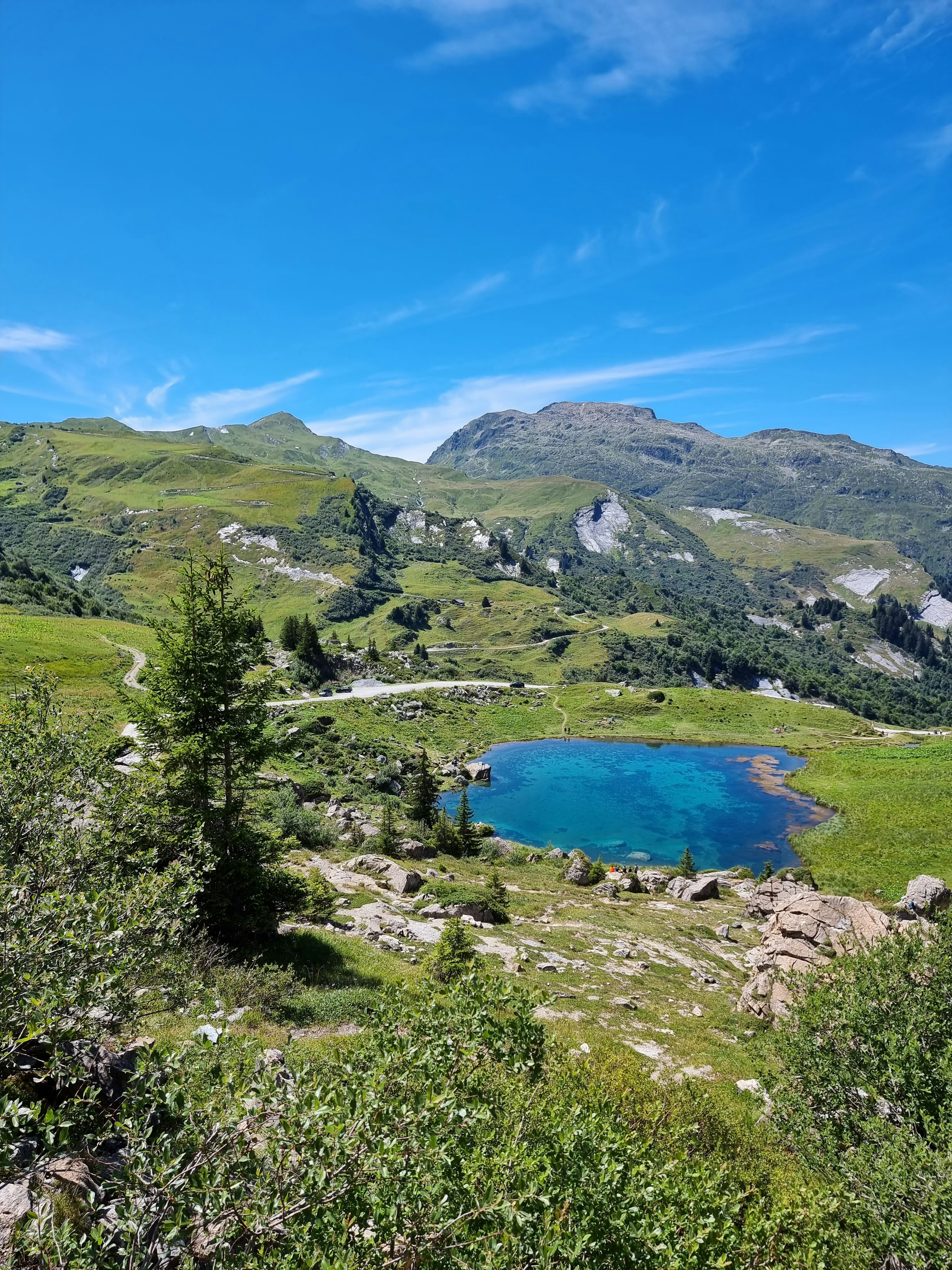 Foto Un lago azul en medio de un exuberante campo verde – Imagen ...