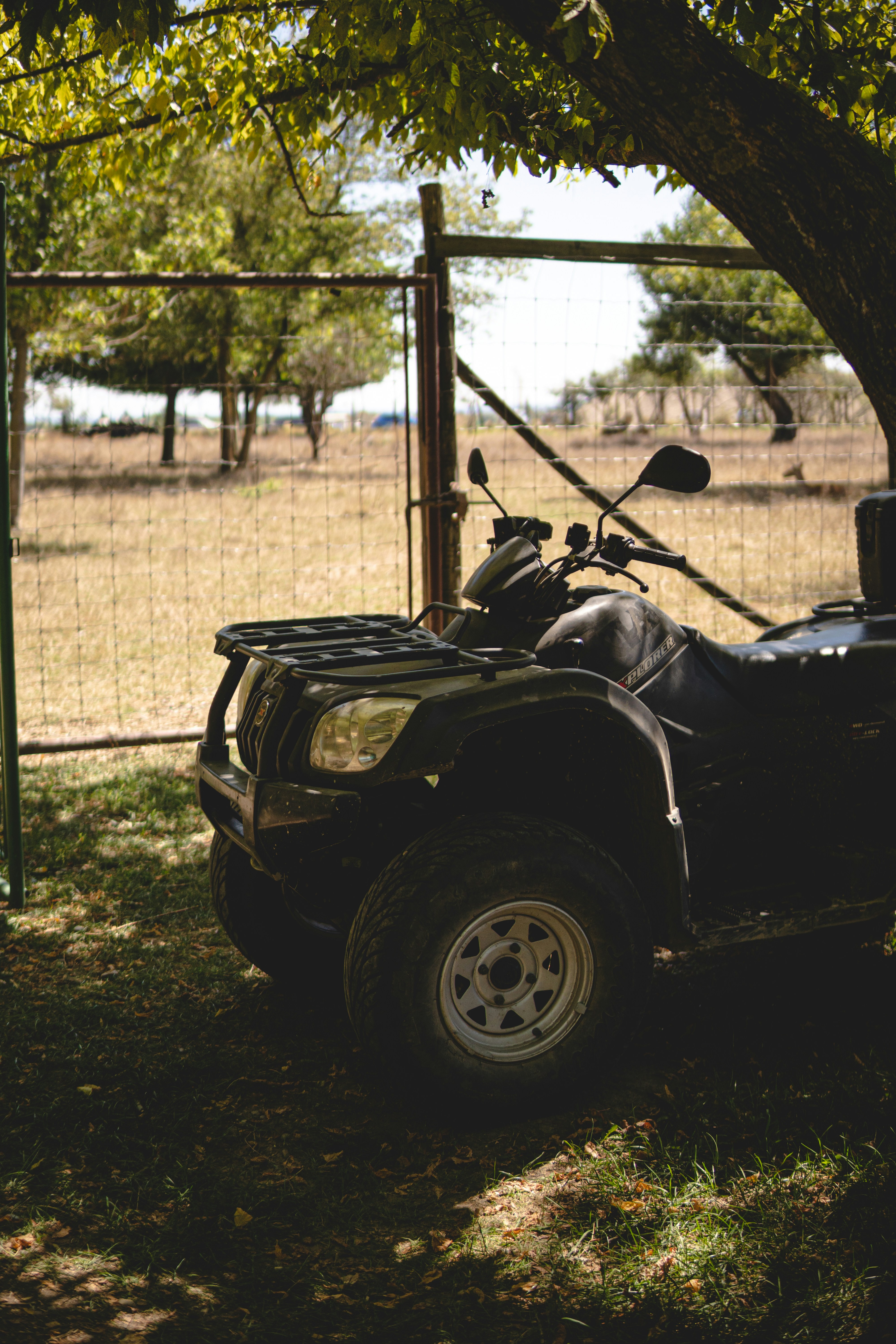 A four wheeler parked under a tree in a field photo – Free Wallpaper 4k ...