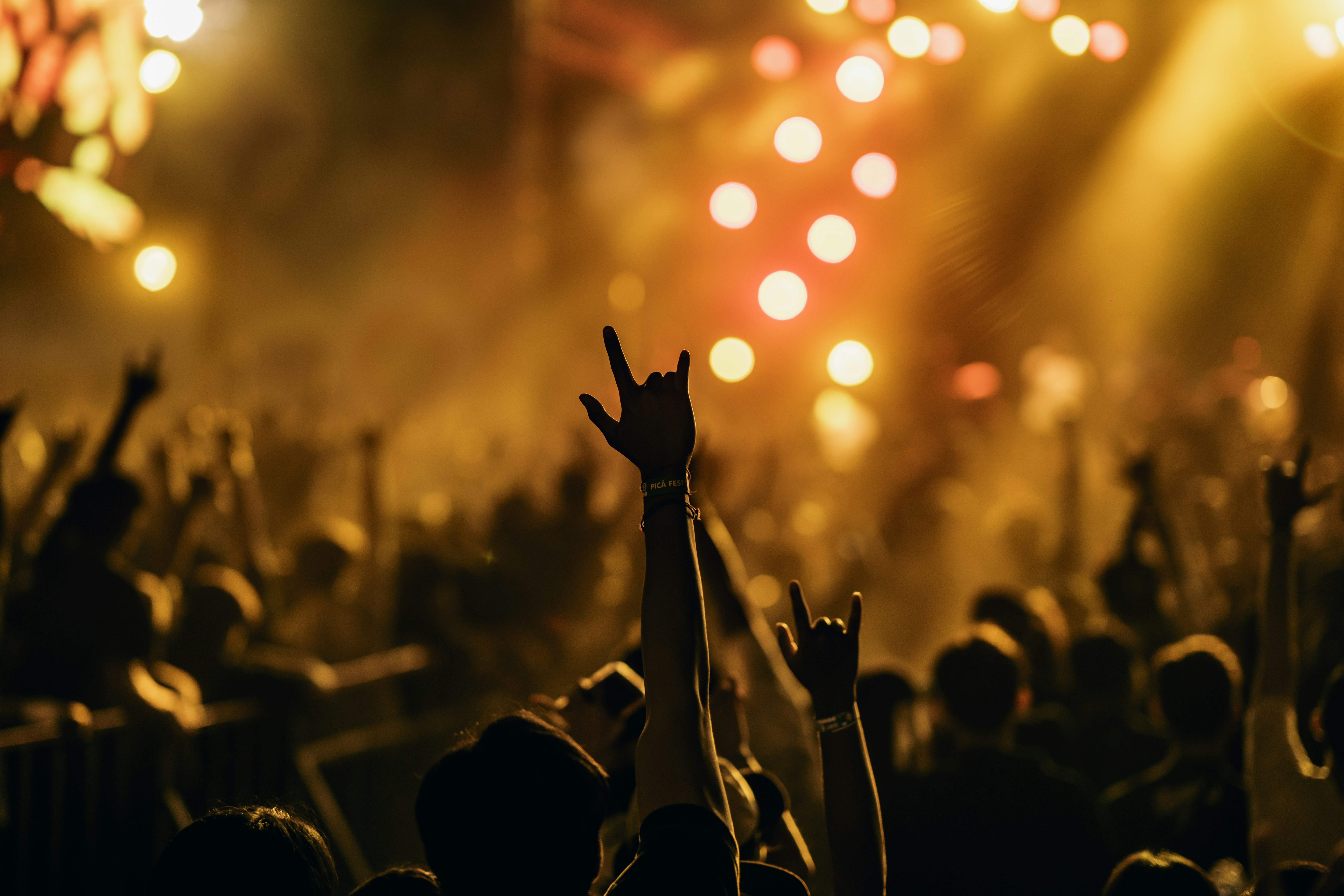 50,000+ Rock Concert Pictures | Download Free Images on Unsplash