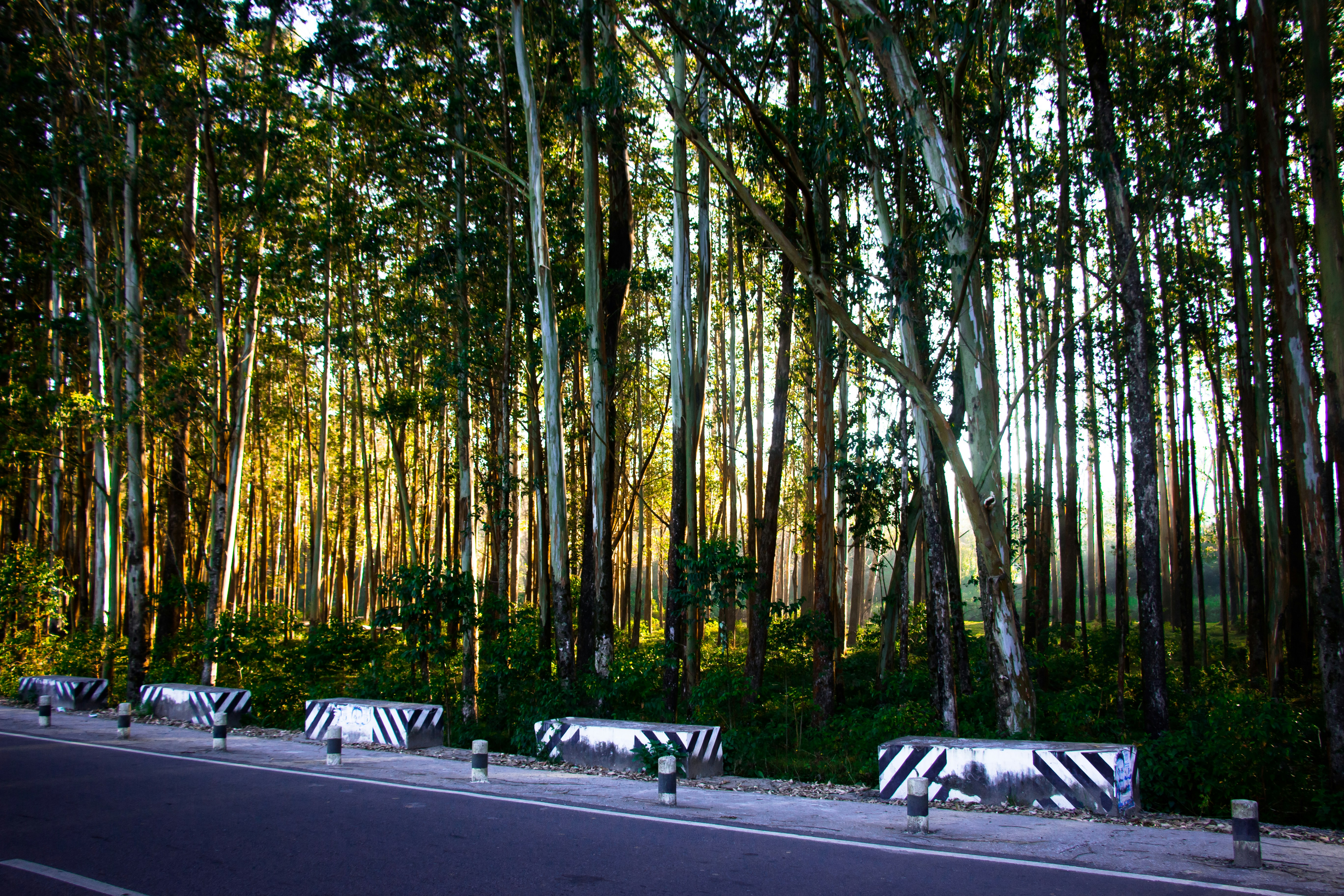 a row of benches sitting on the side of a road