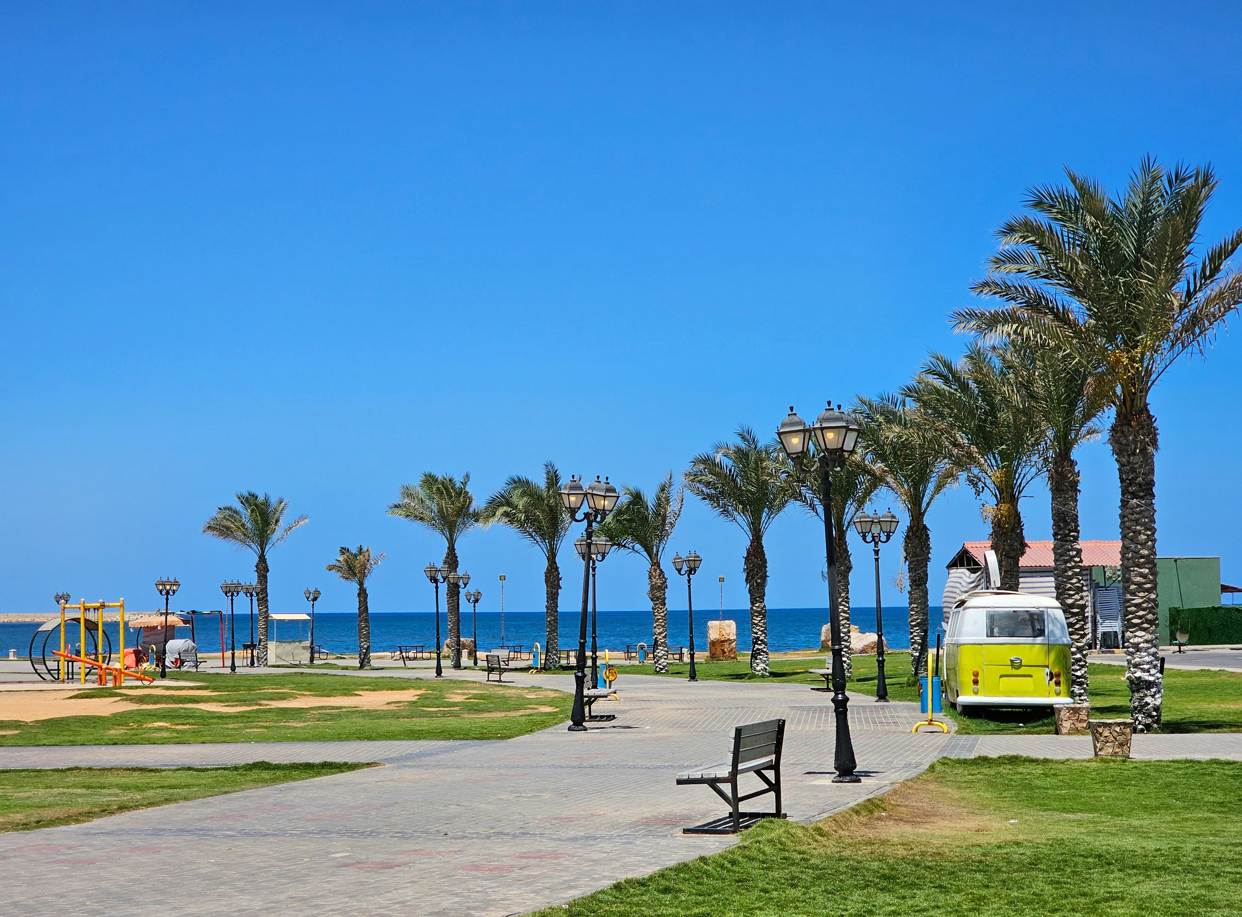 Palm-Shaded Coastal Tram on a Sunlit Promenade