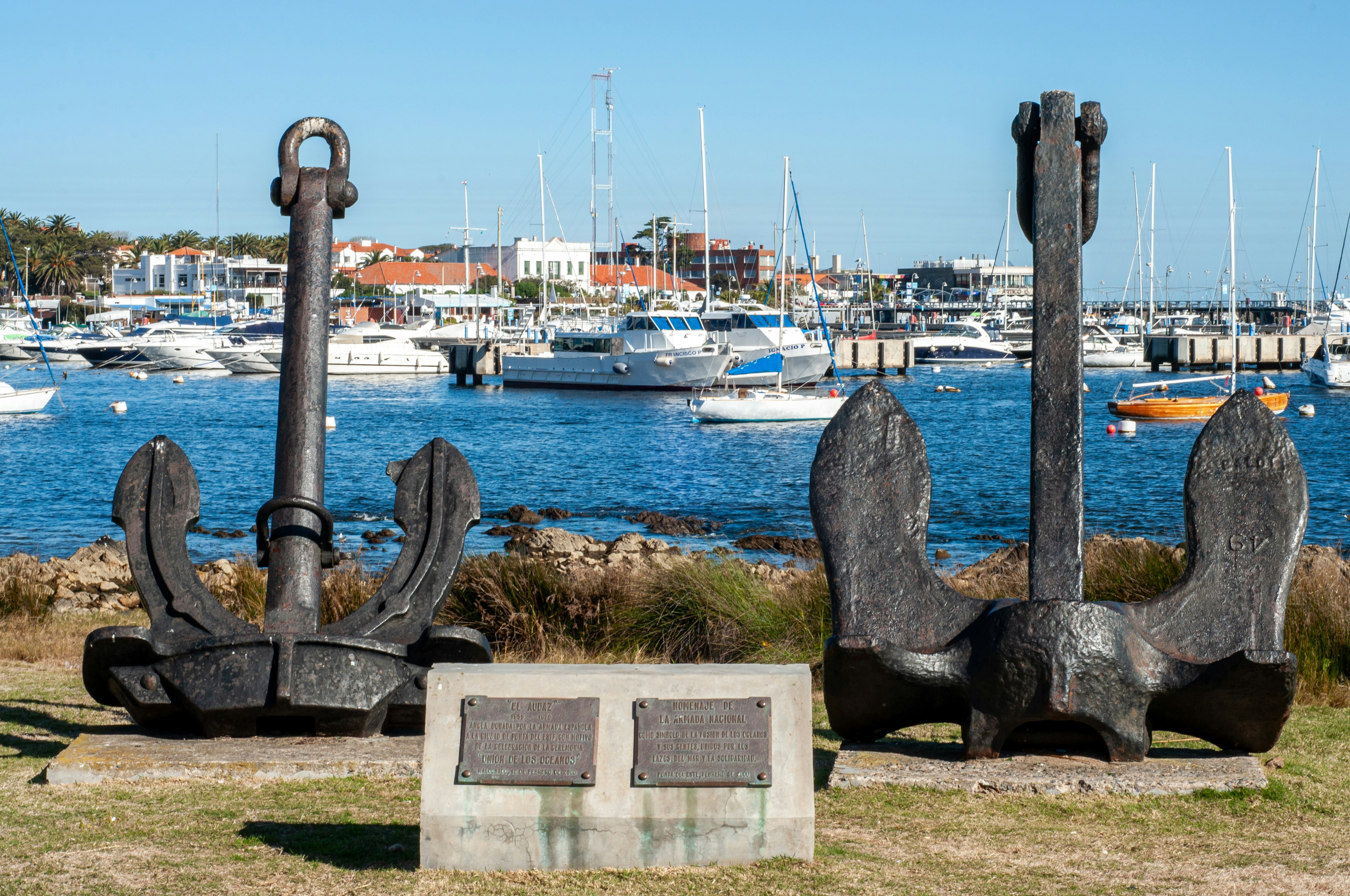 Photo by Mayumi Maciel with Nikon D90